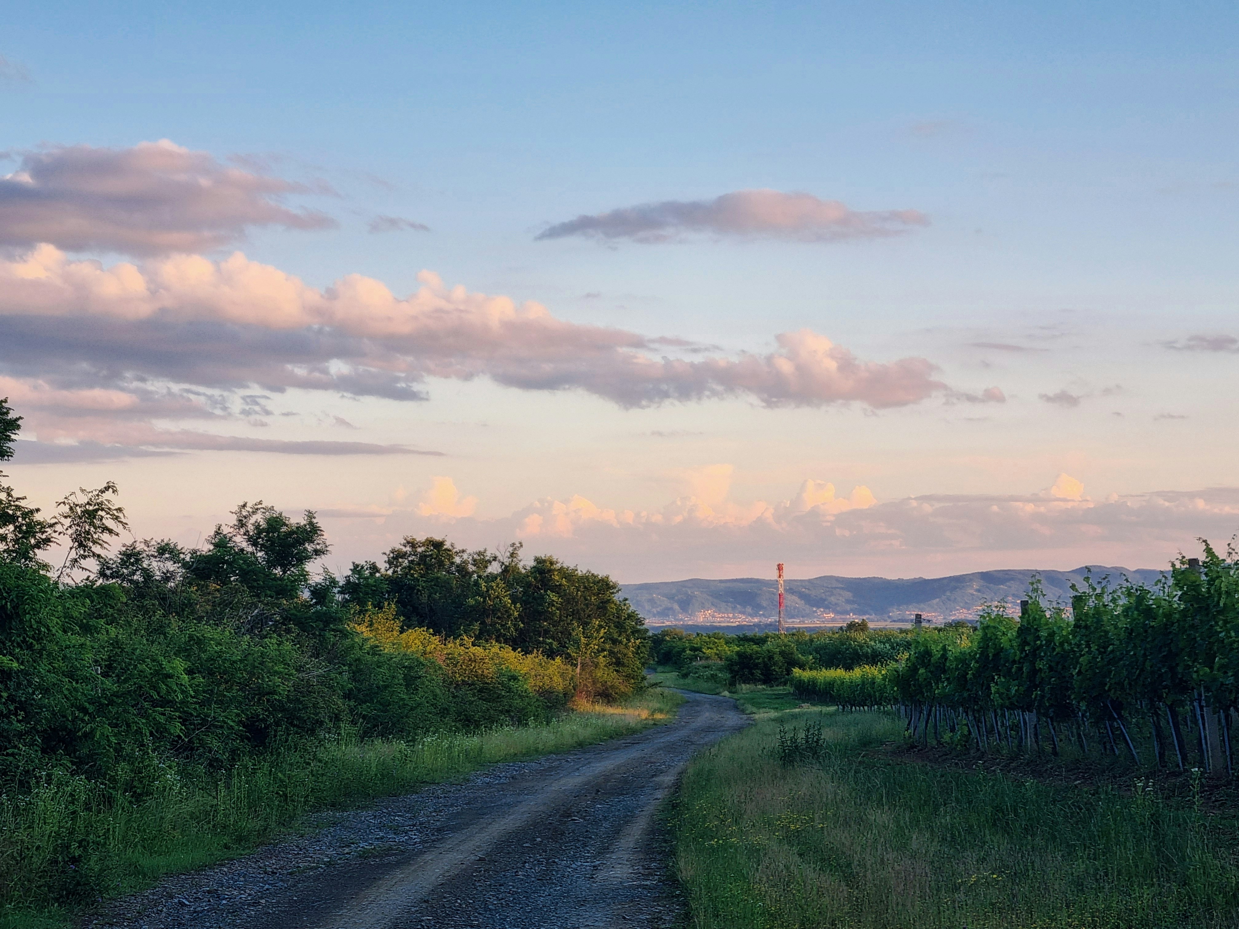 Desktop Wallpaper Summer Pictures | Download Free Images on Unsplash