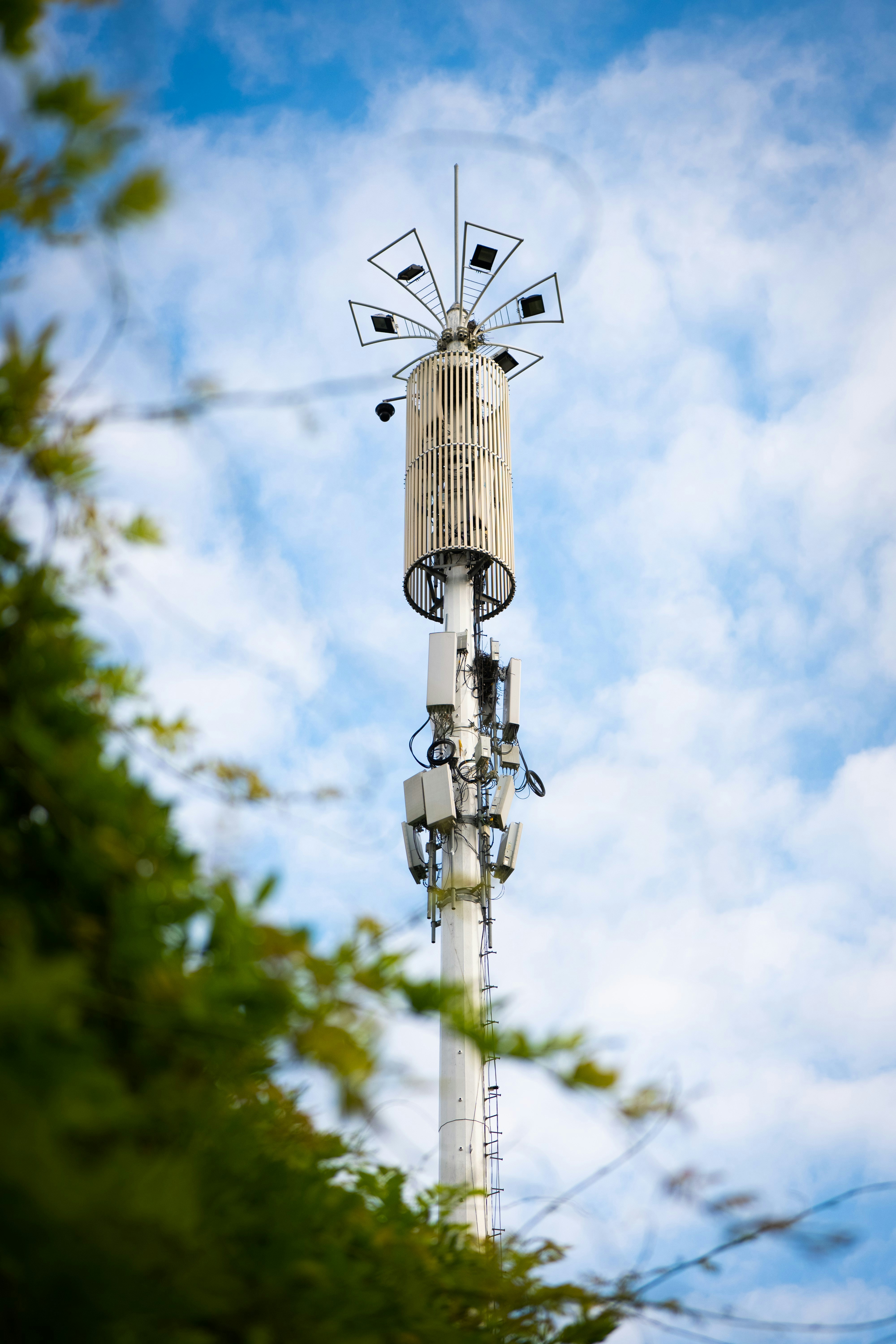 A tall white tower sitting next to a forest photo – Free Qingdao Image ...