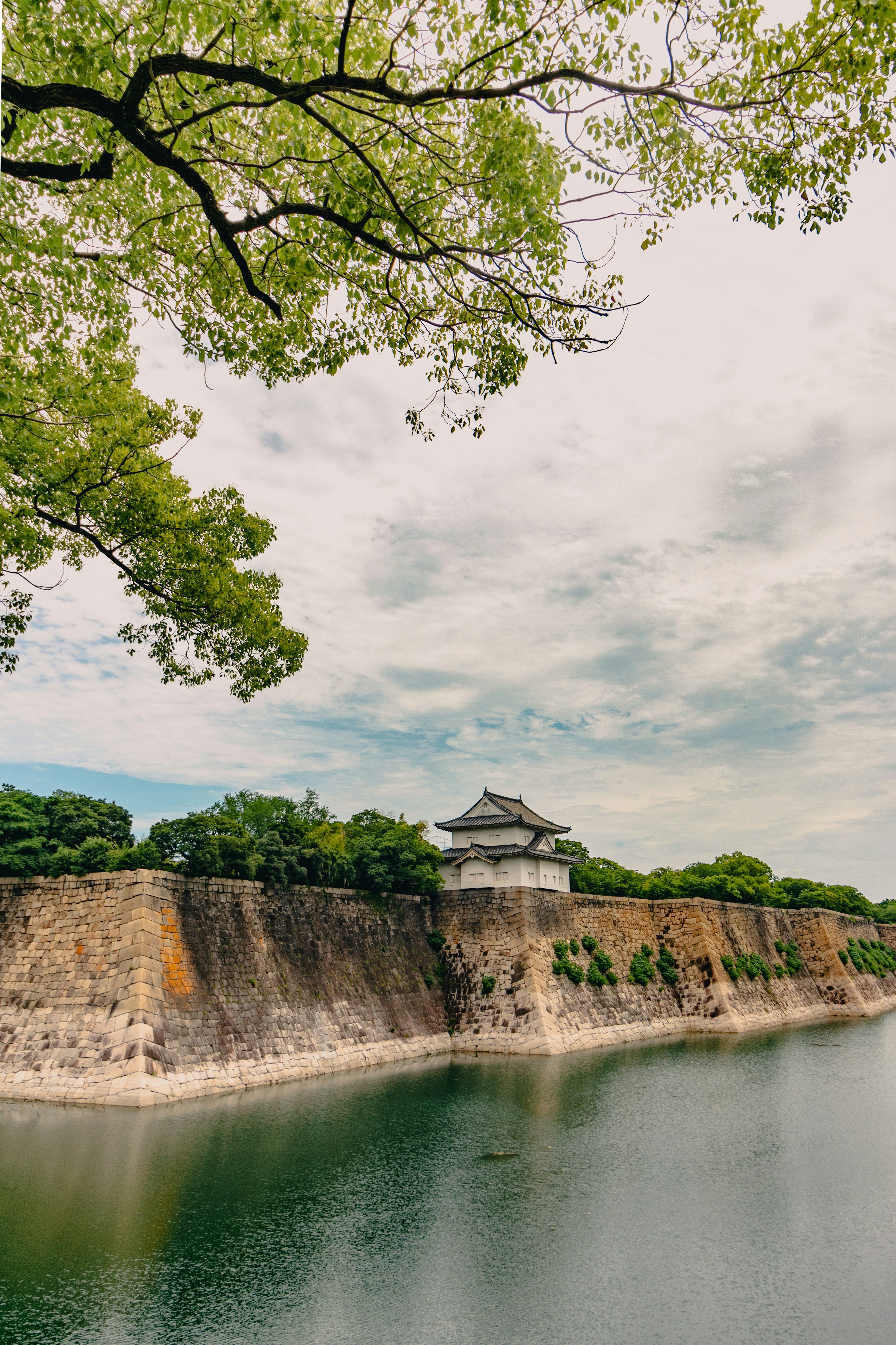 Watery Barrier and Summit of a Historic Castle