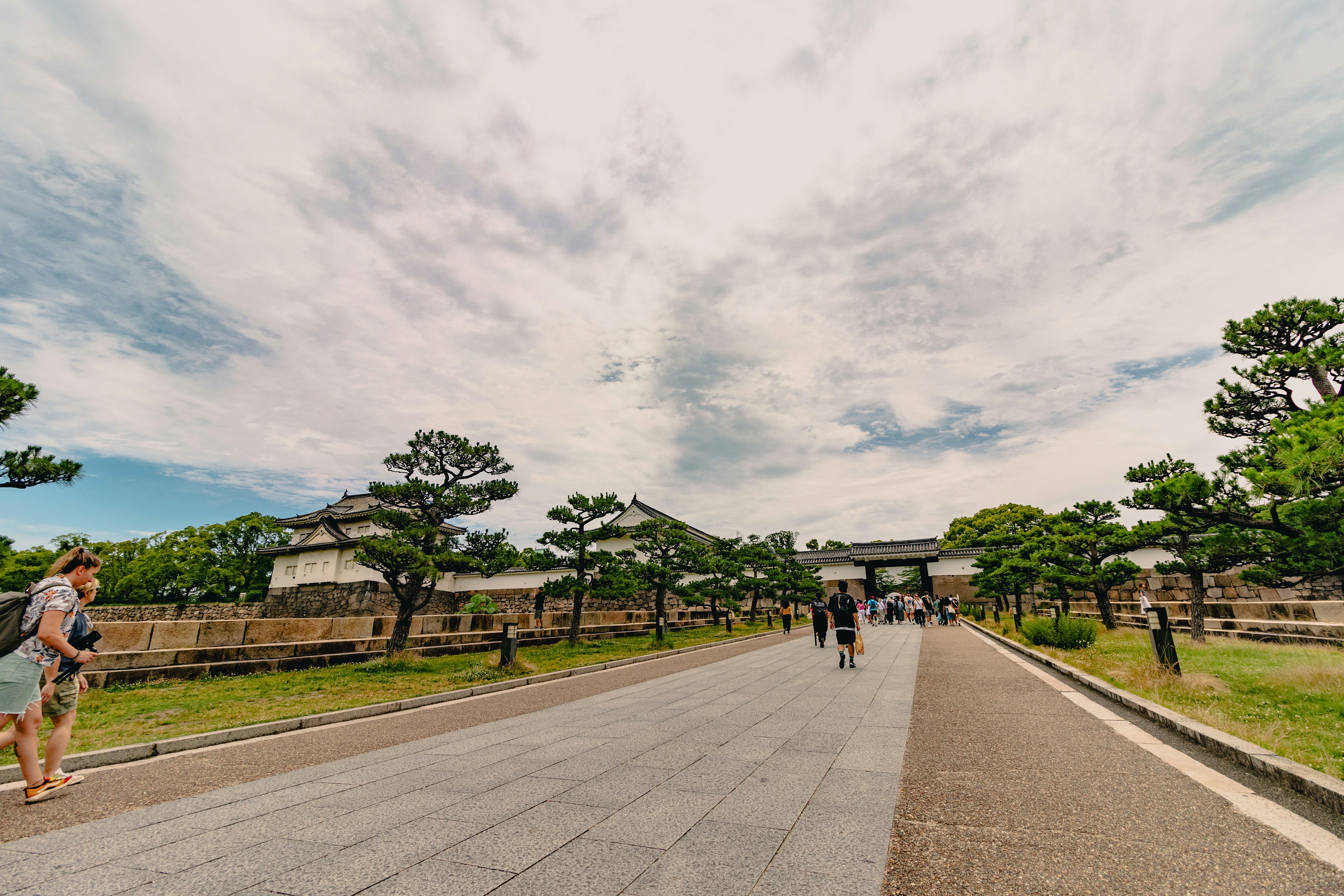 Path to the Gate: Tranquil Pines and a Timeless Entrance