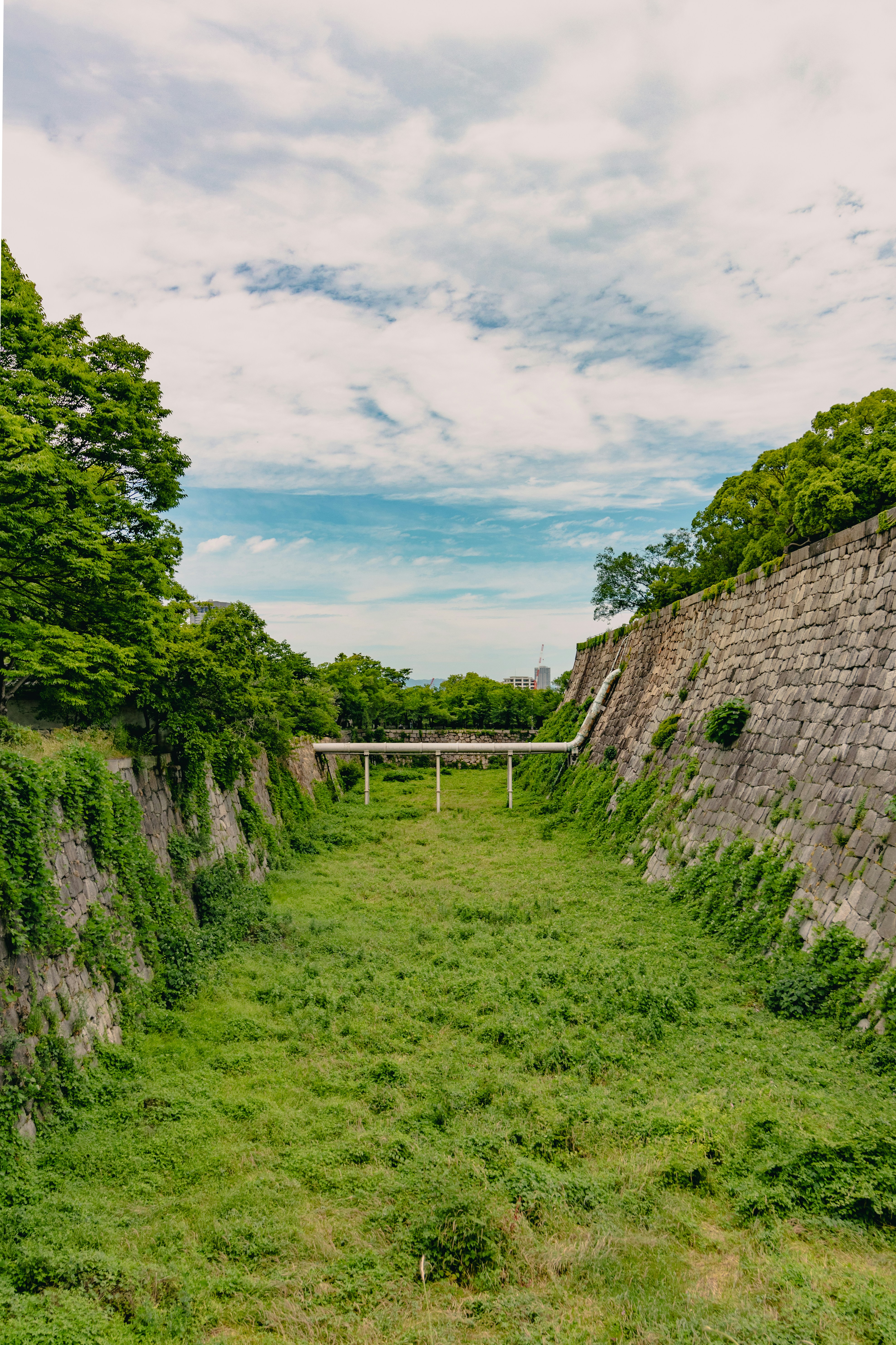 Between Verdant Walls: A Quiet Canal Leads to a Distant Bridge
