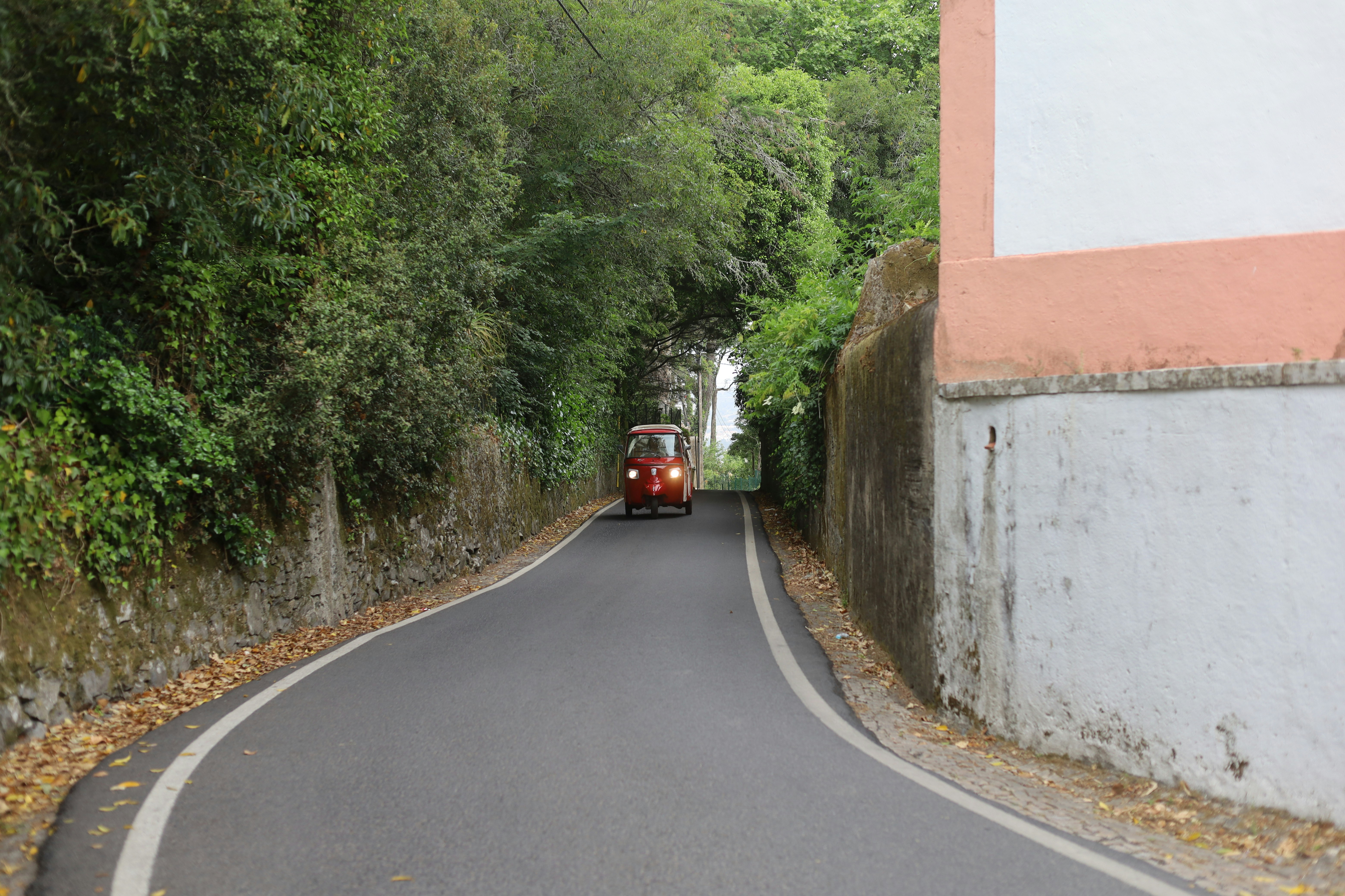 Photo by Maria Kuznetsova with Canon EOS RP