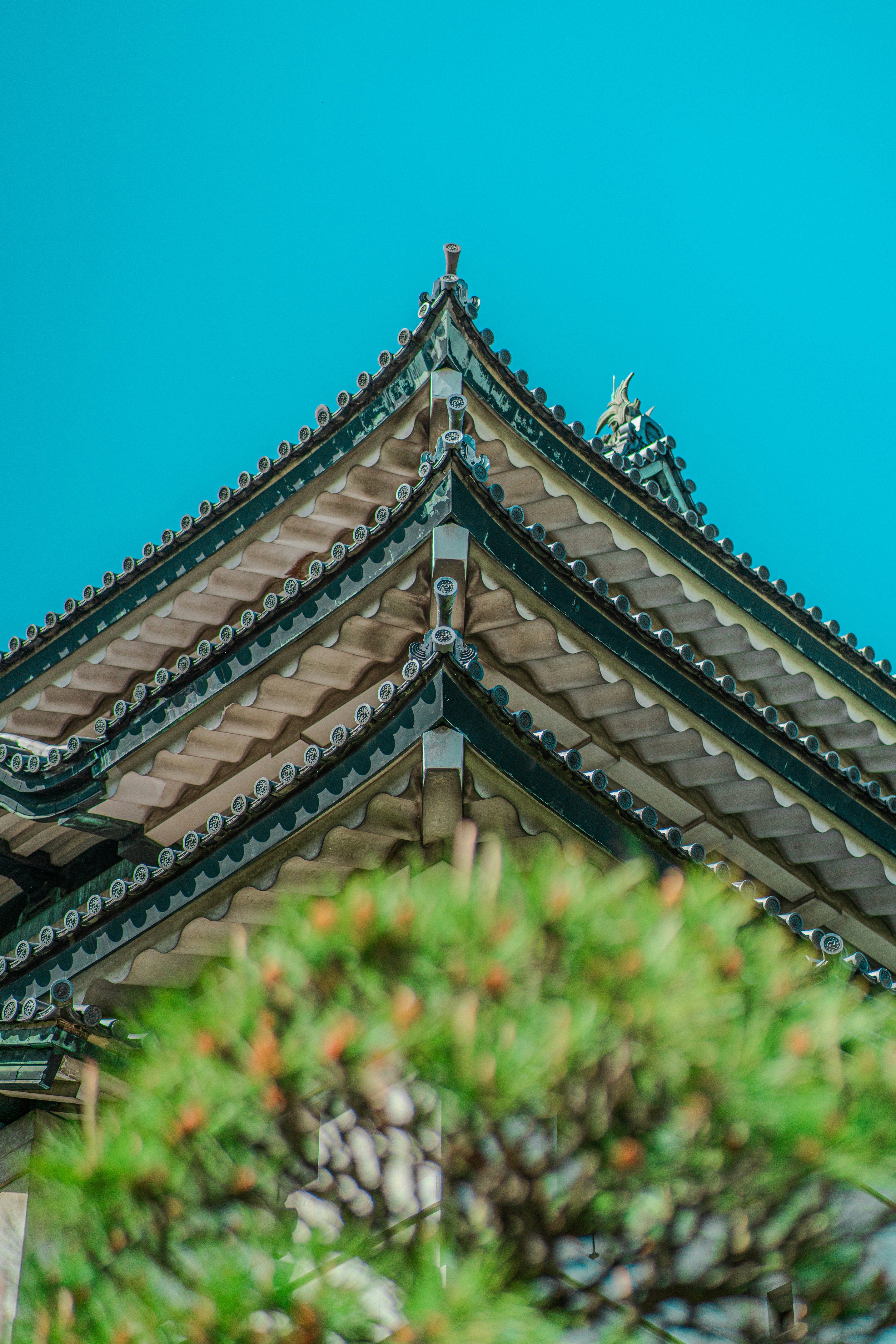 A tall building with a bird perched on top of itMatt Mutlu