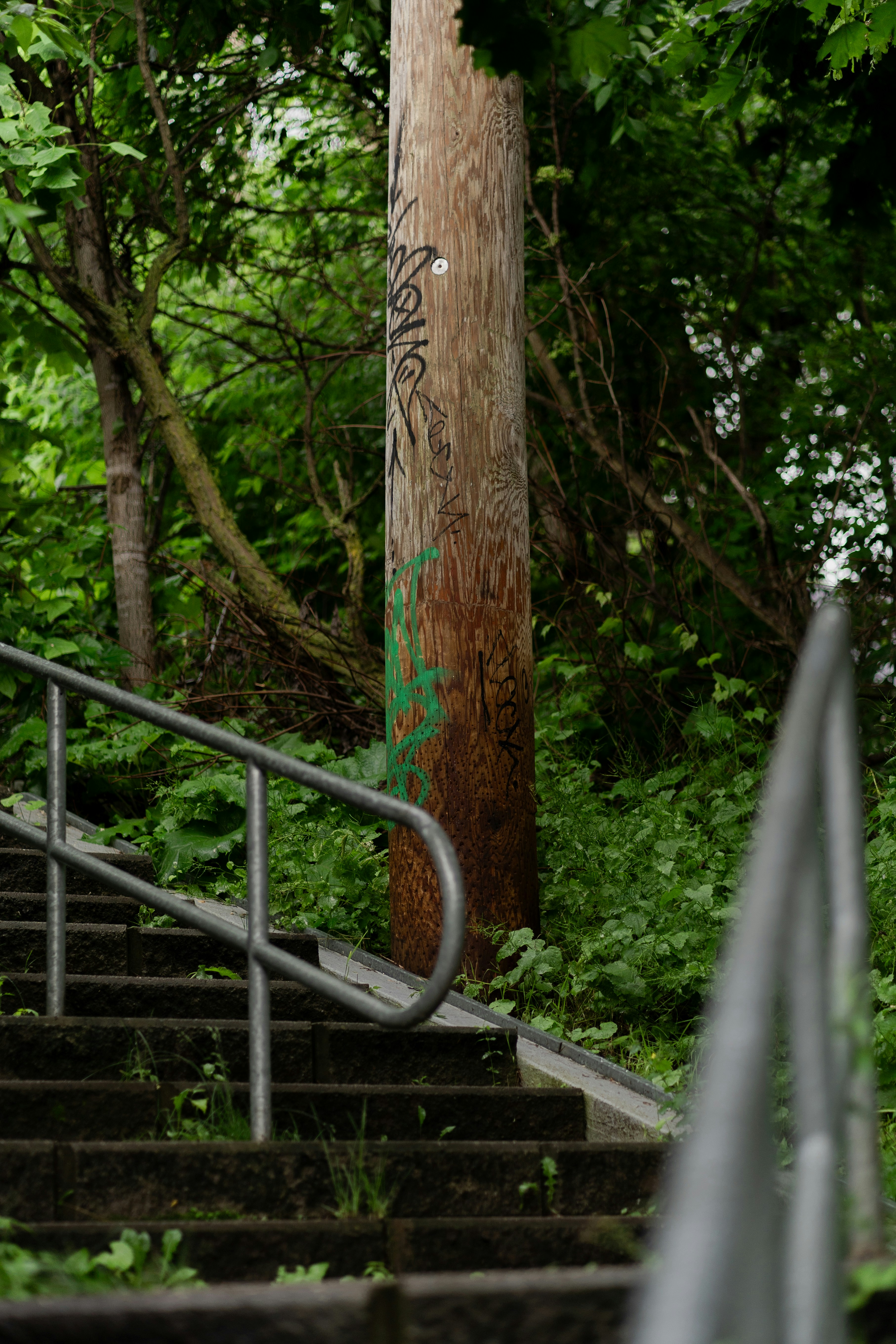 Graffiti-Adorned Pole Framing a Mossy Staircase