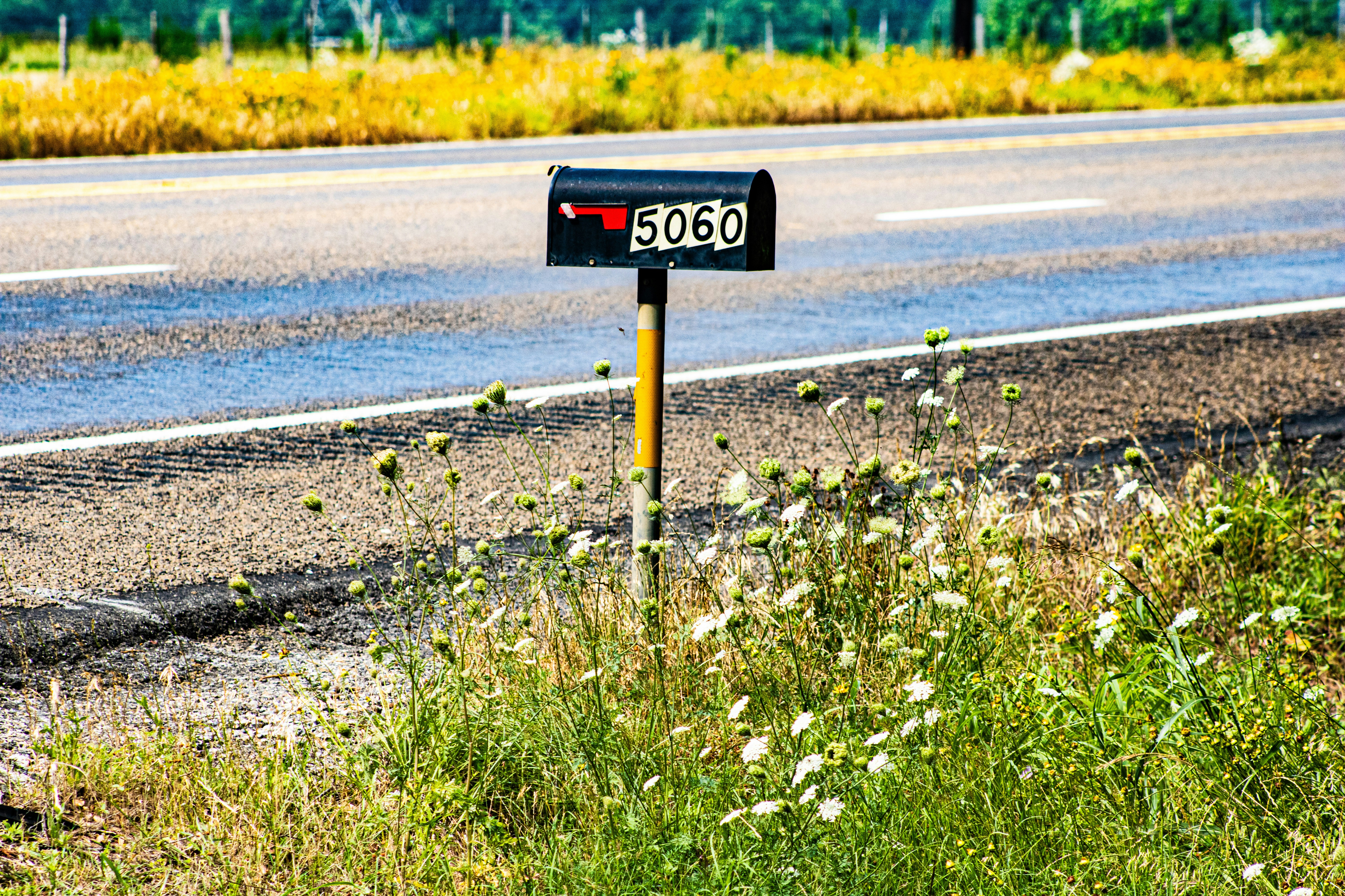 5060 on the Verge: A Quiet Mailbox Guarding the Roadside