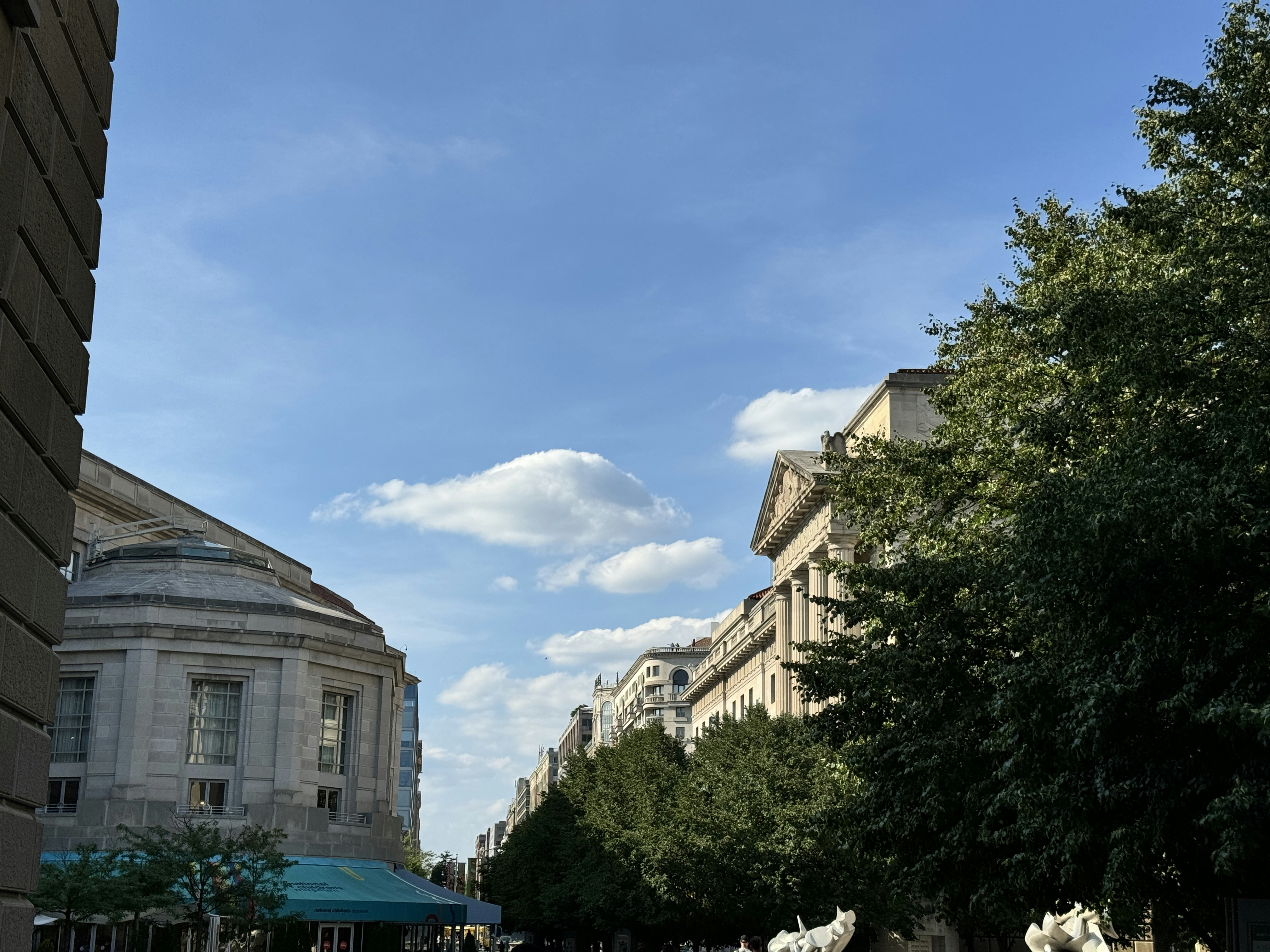 Sunlit Arcades: A Tree-Lined Parisian Street Framed by Classical Facades