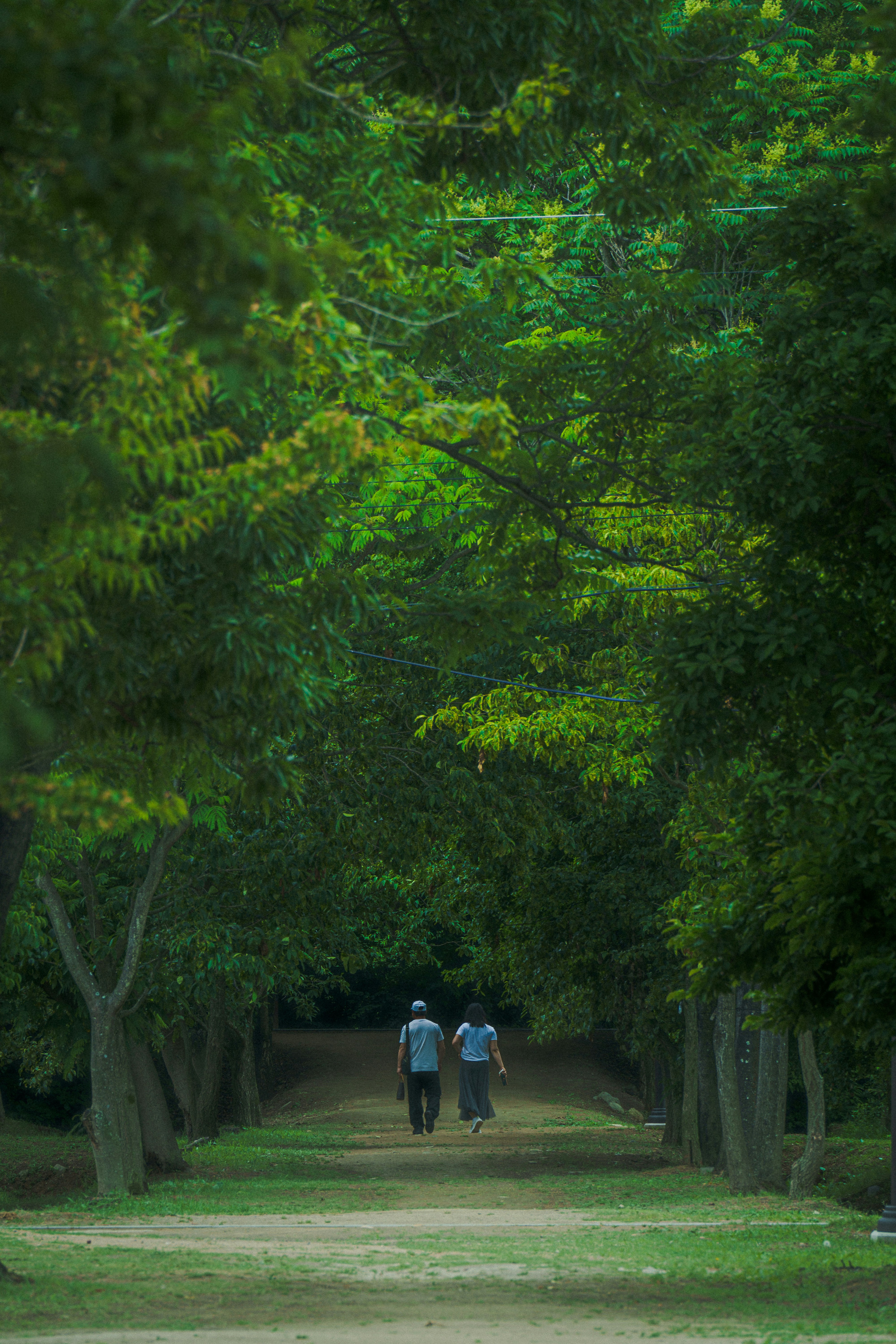 Photo by Ben Kim with Sony Alpha 7 III