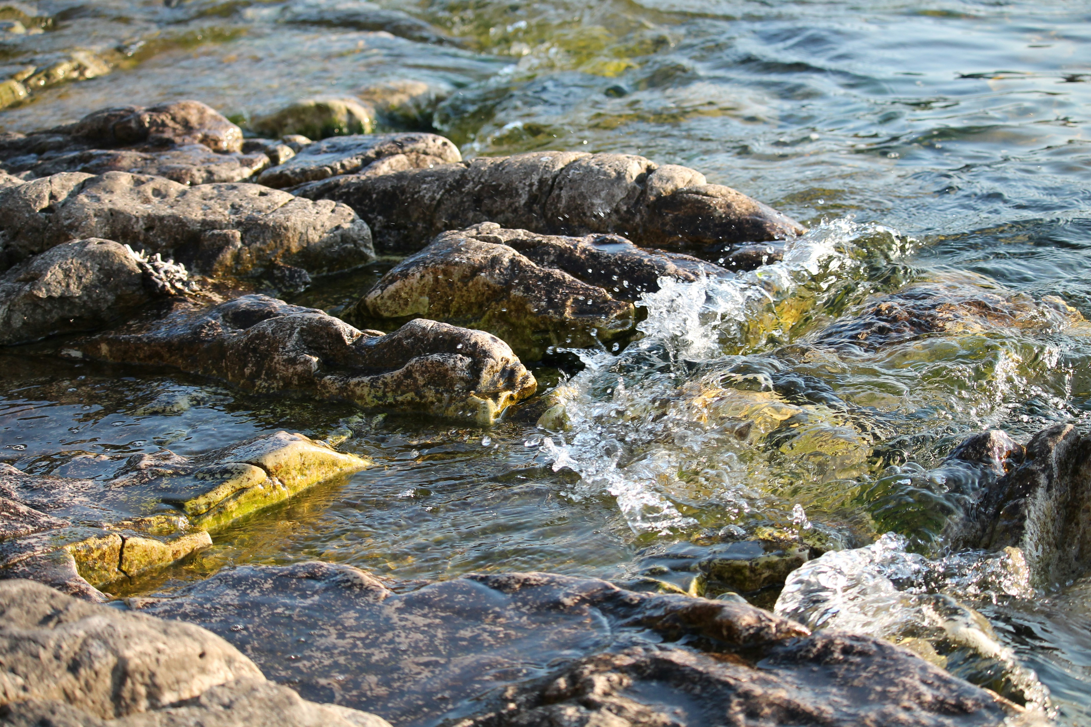 Photo by Kat with Canon EOS 1100D