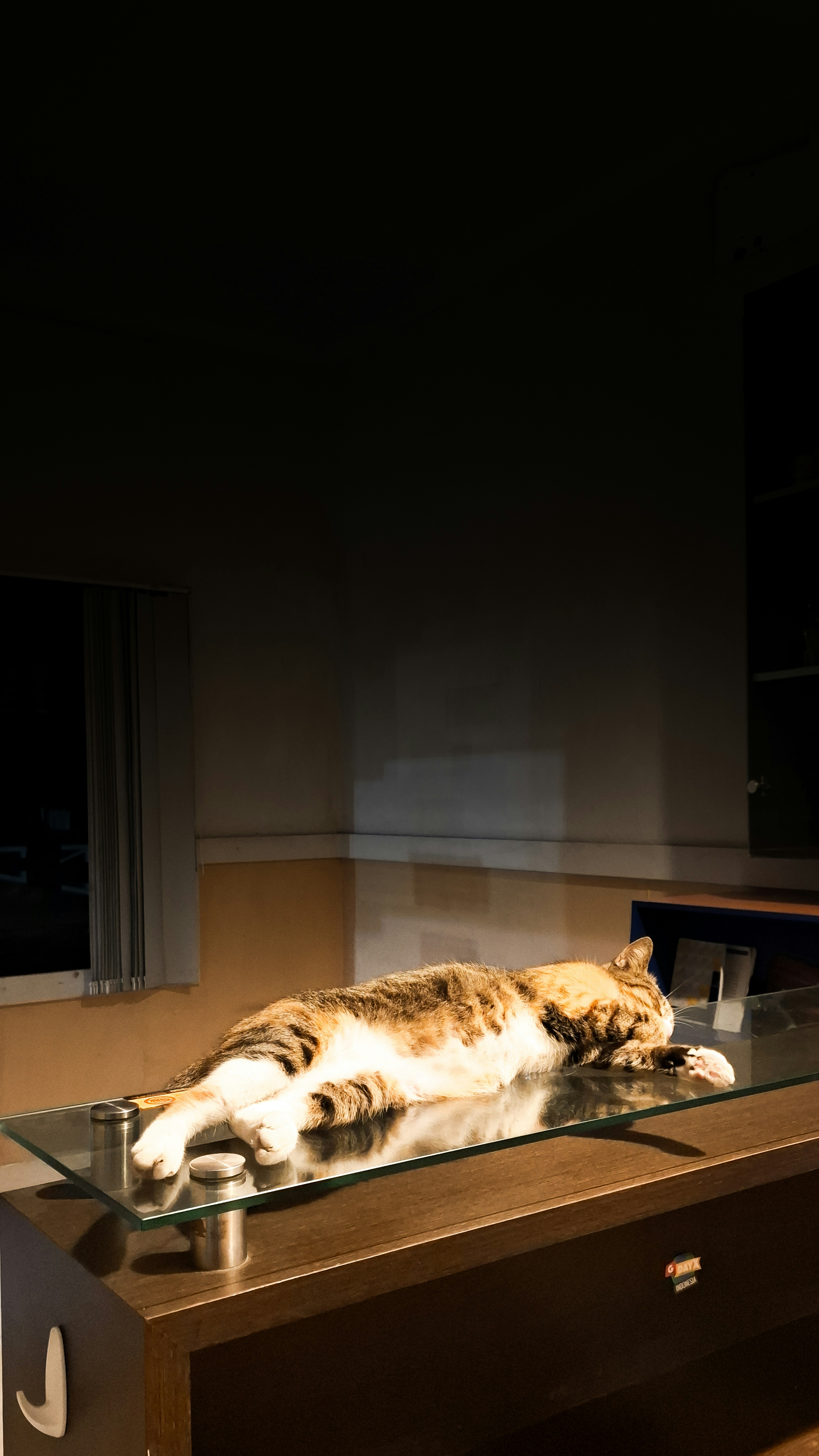 Sample photo from Samsung Galaxy A55