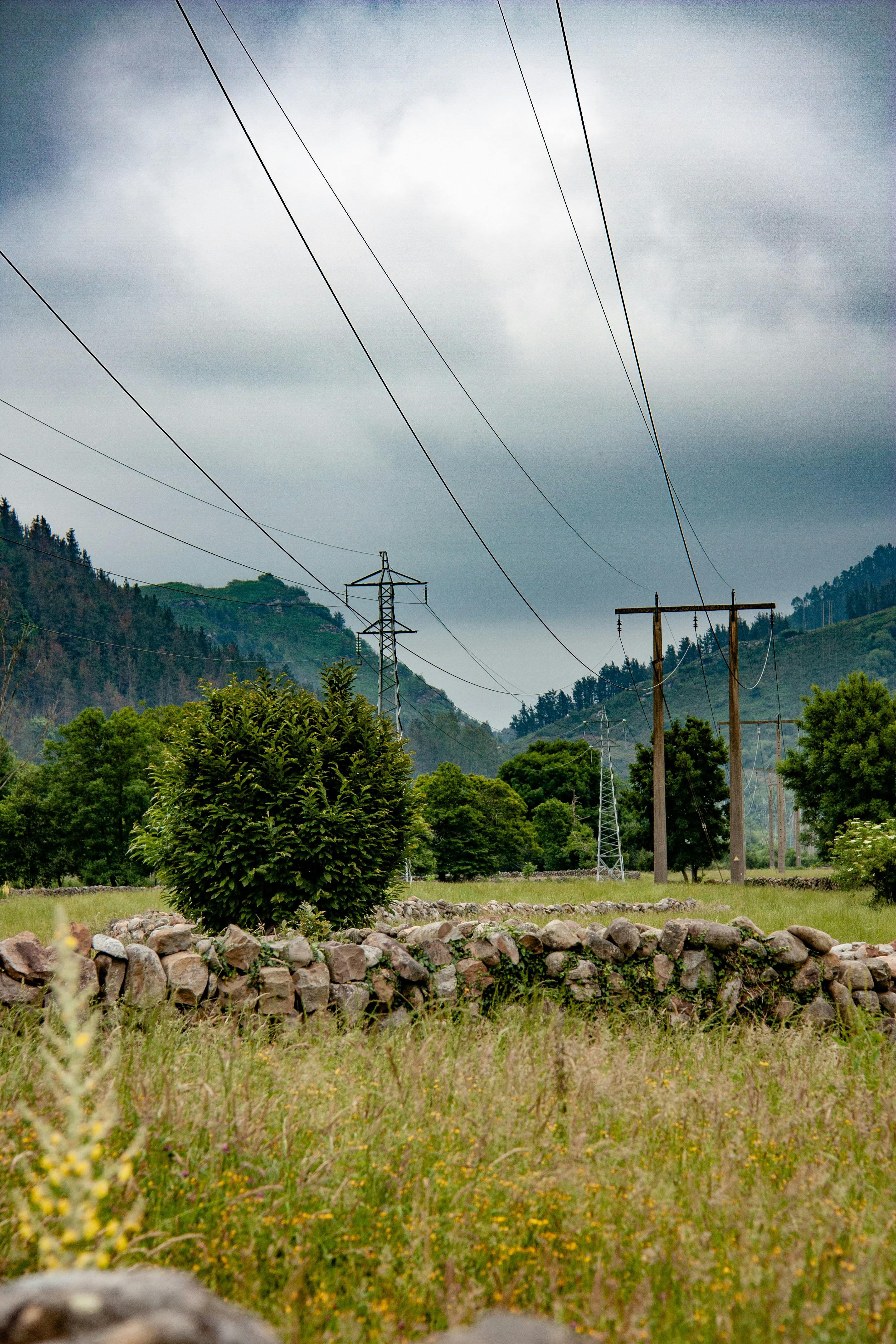 Valley Lines: A Quiet Landscape Framed by Rural Power Poles
