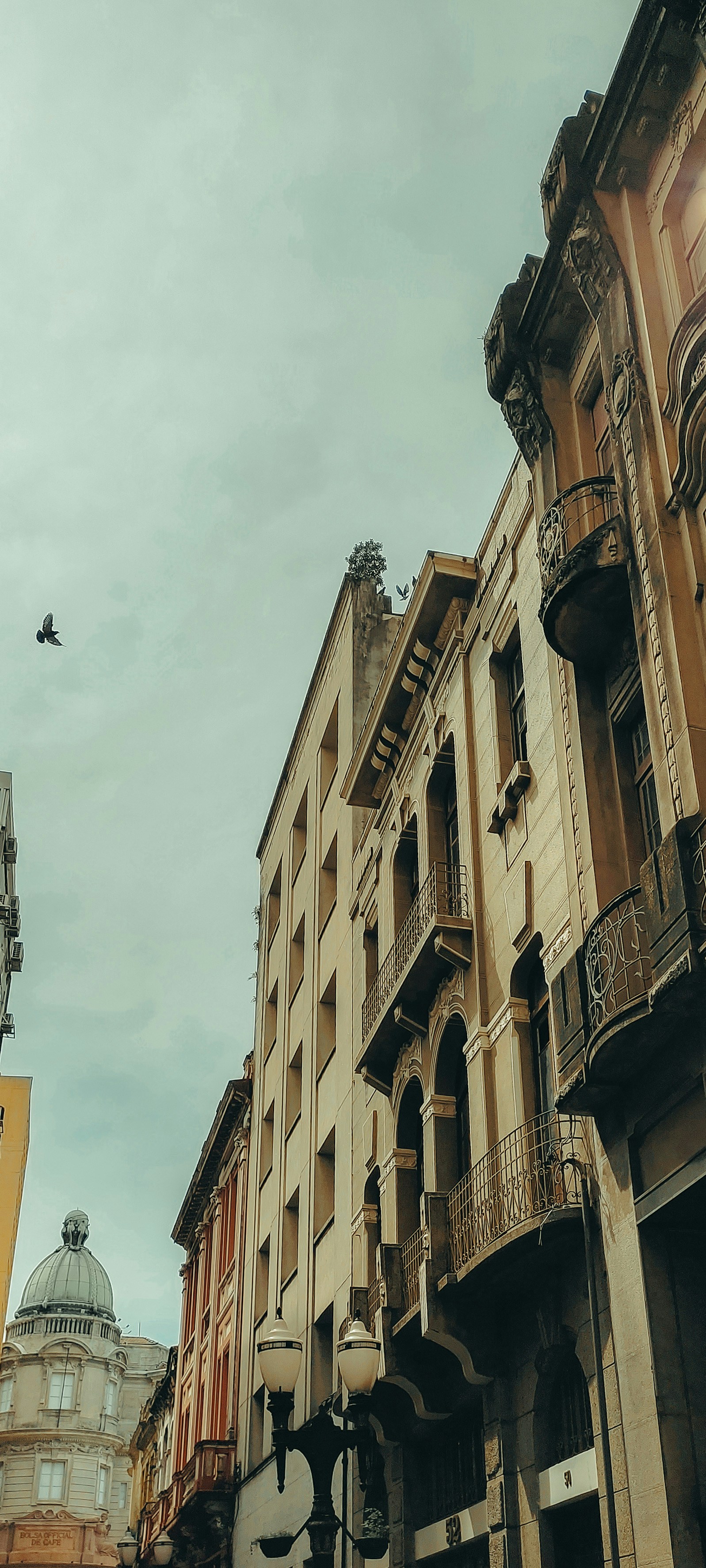 Historic facades and a lone bird punctuate the city skyline under a muted sky.