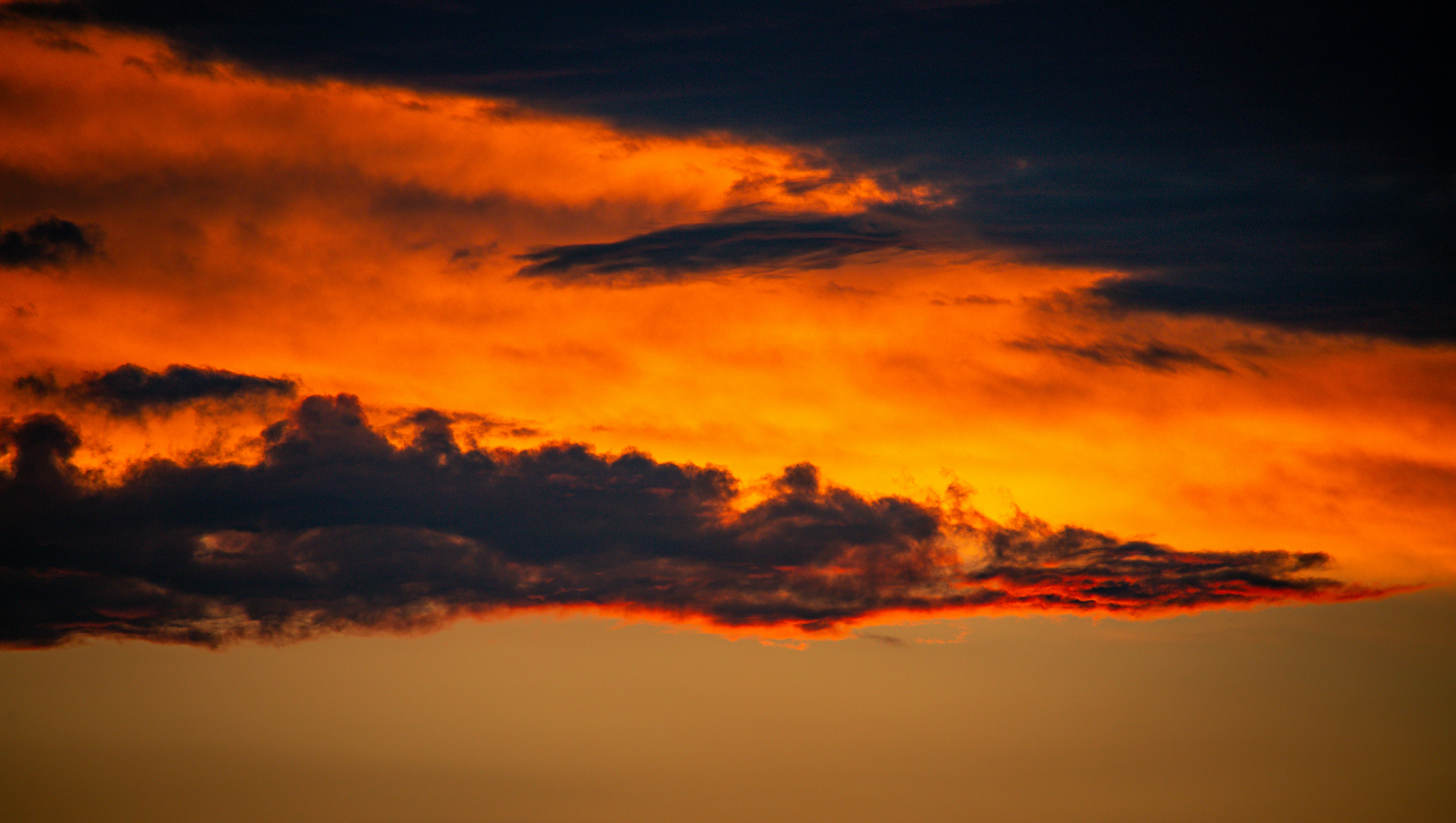 A plane flying in the sky at sunset photo – Free 69469 weinheim ...