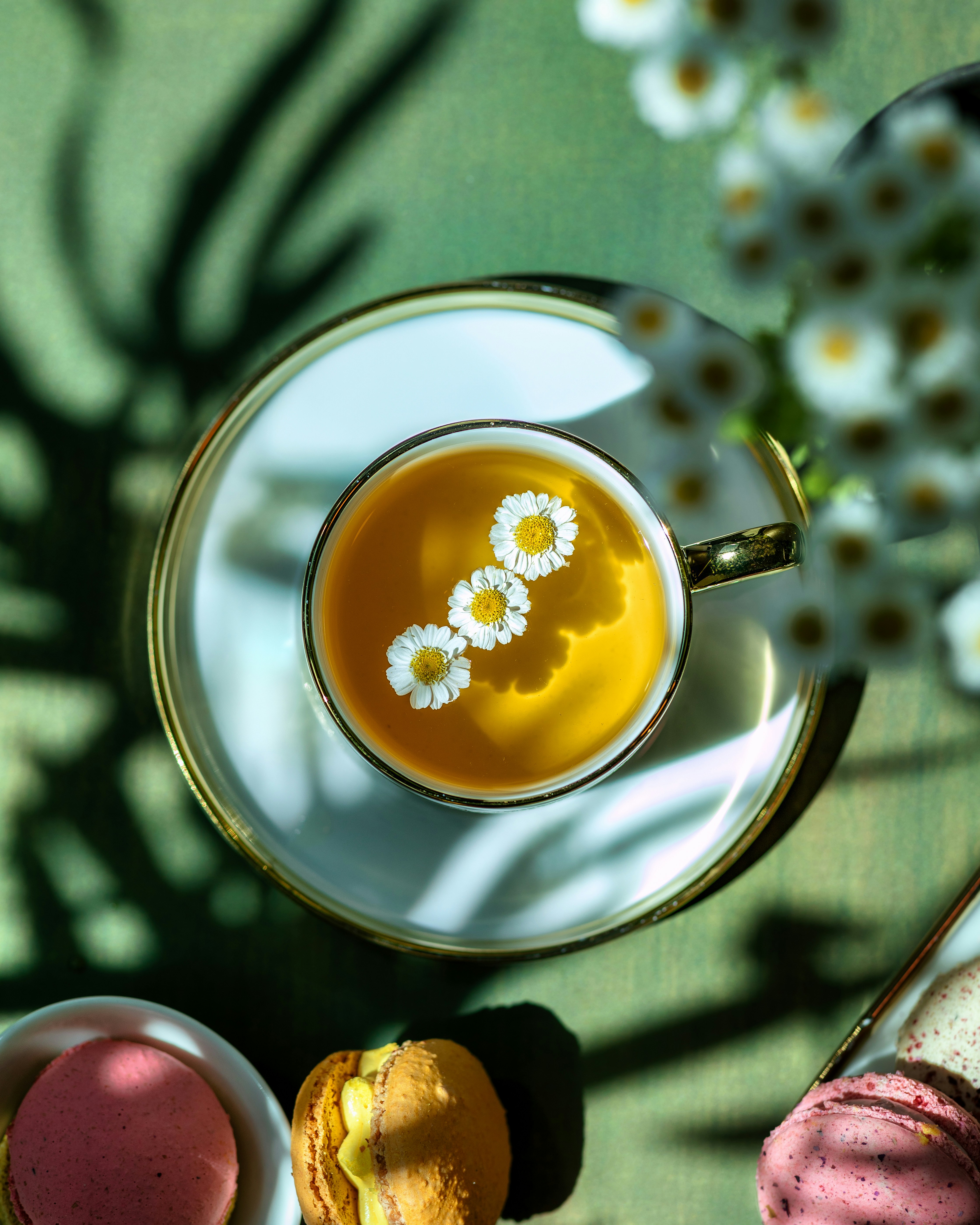 Teas Pictures | Download Free Images on Unsplash