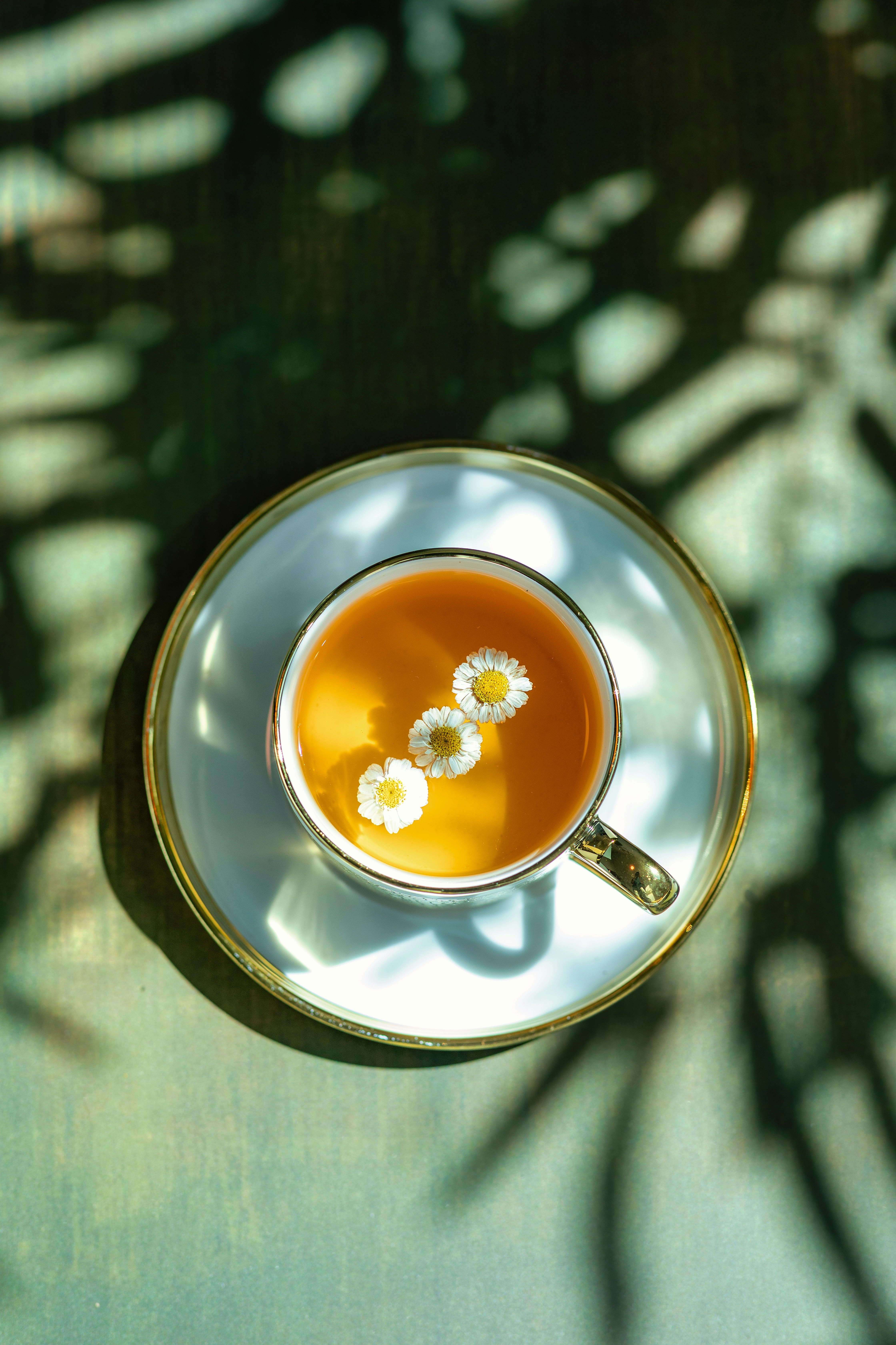 An overhead view of a cup of tea on a saucer photo – Free Flower tea ...