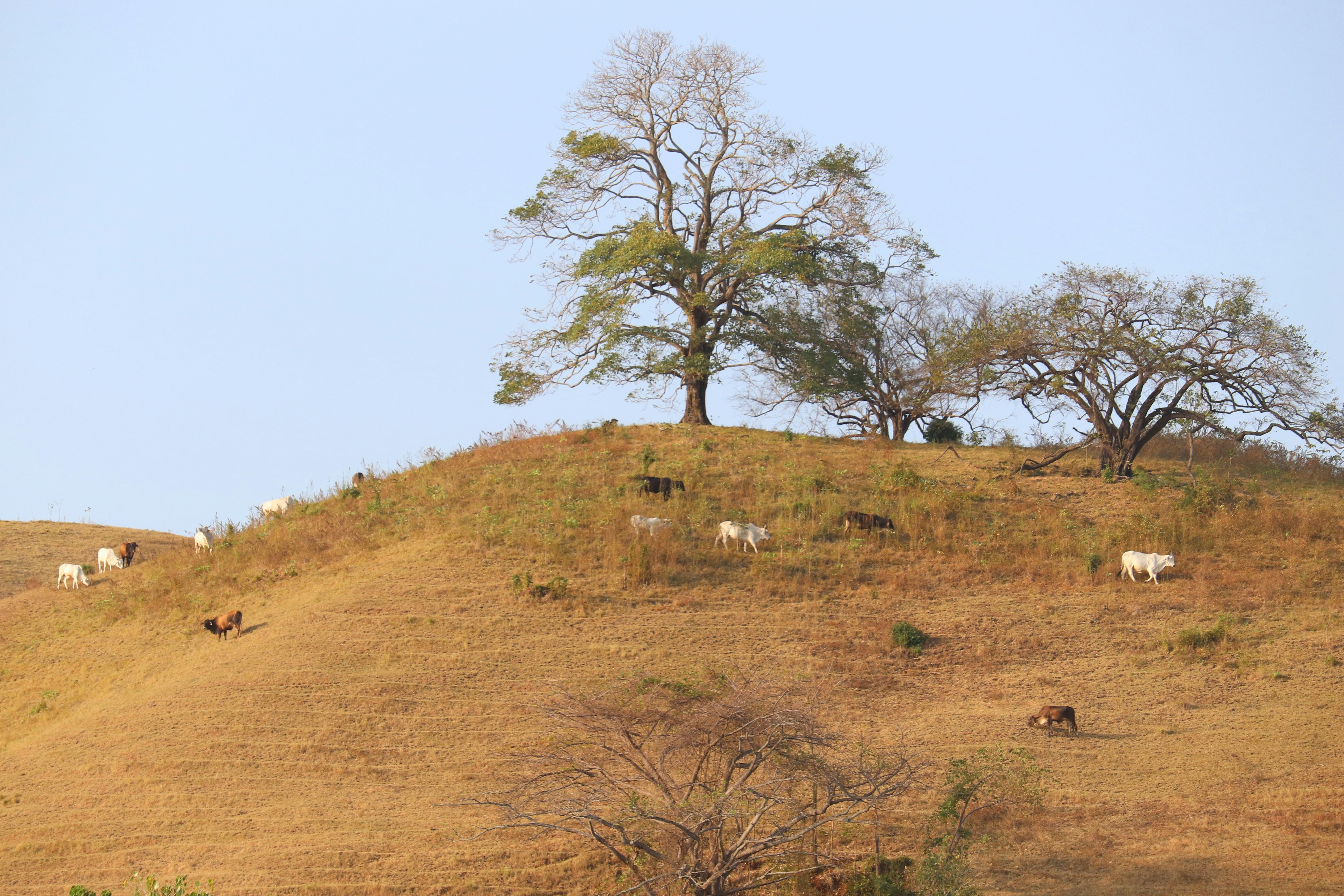 Photo by Danilo with Canon EOS 800D