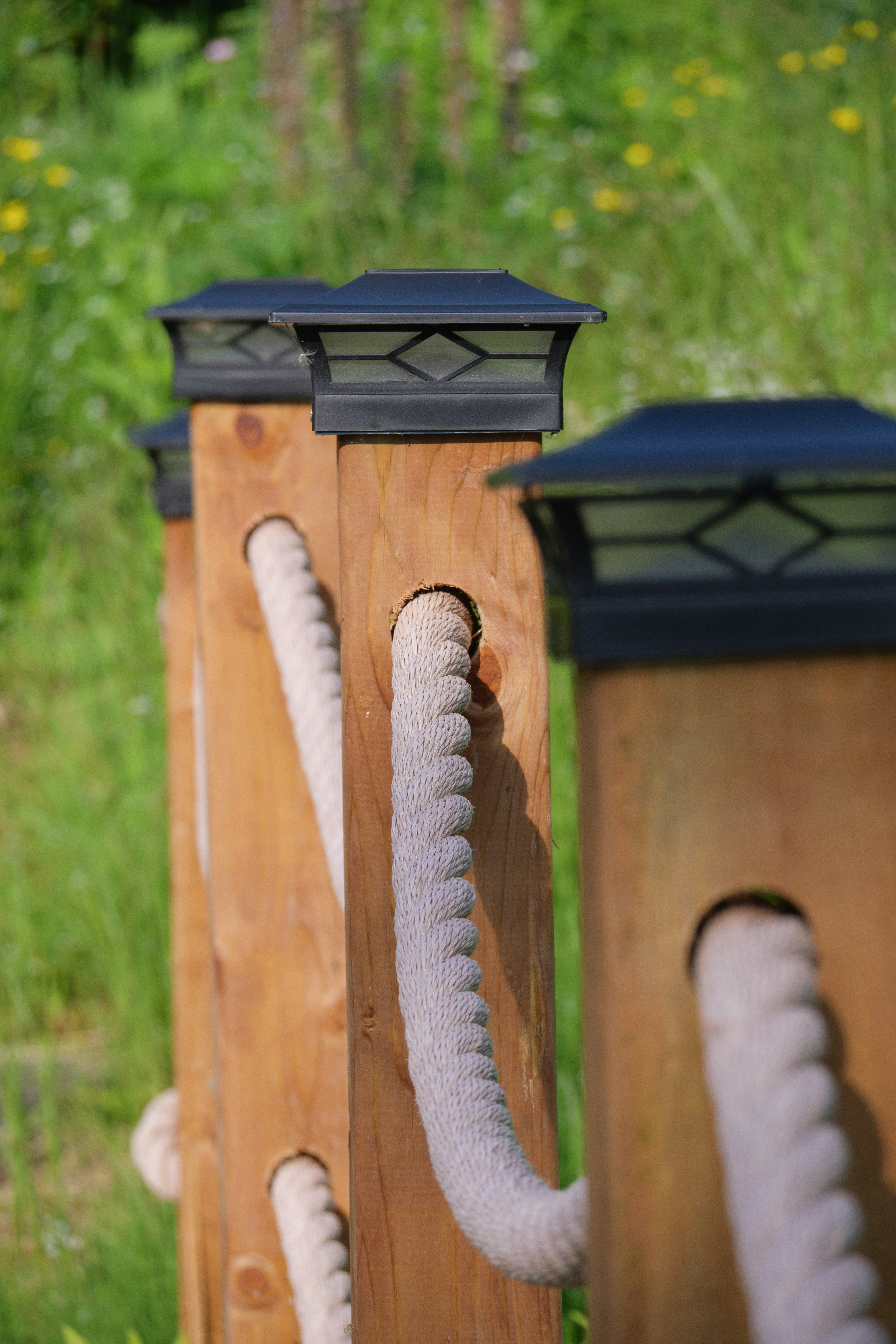 Rope-Wrapped Posts Stand Guard in a Green Meadow