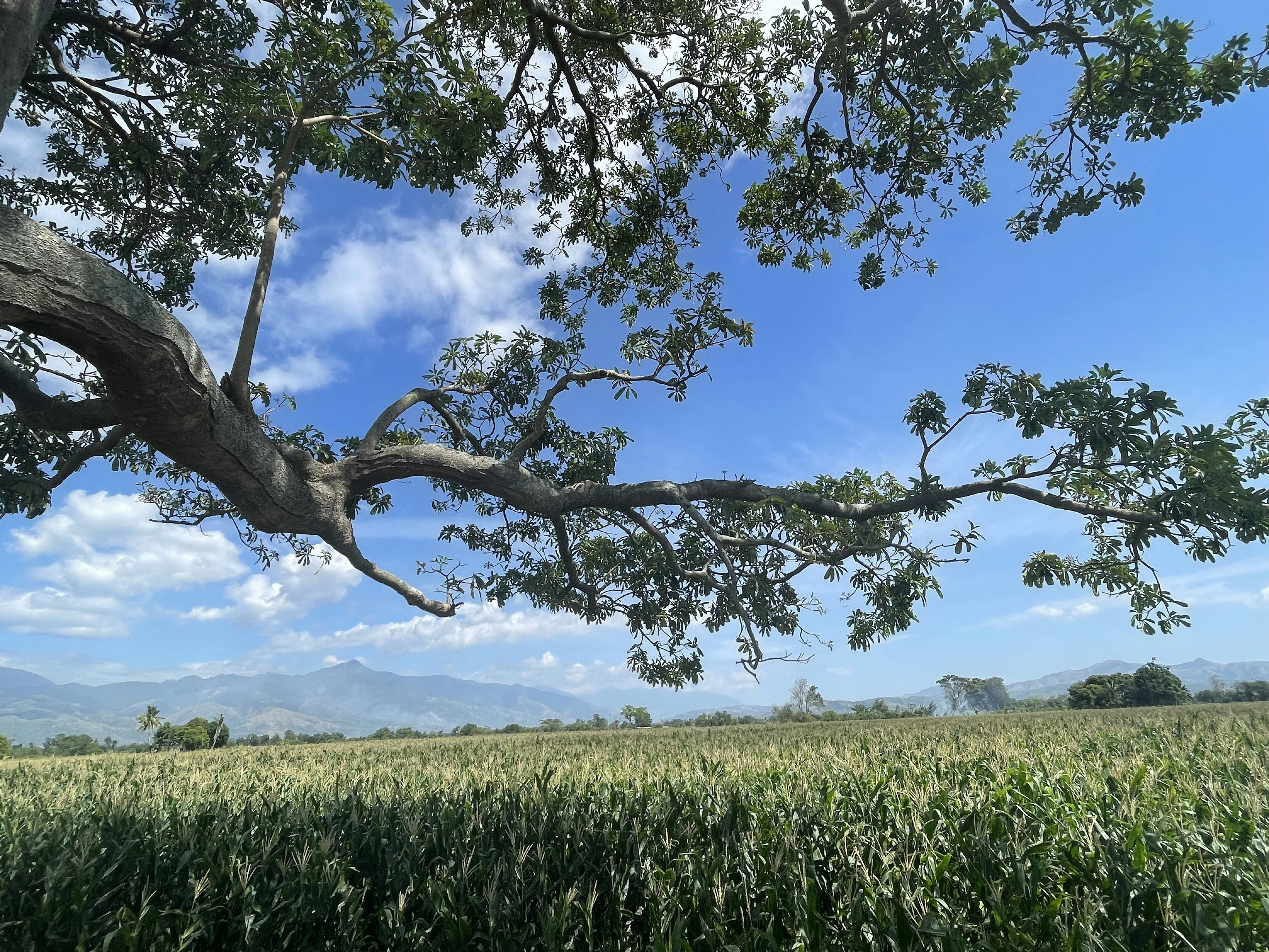 Photo by Vee V with Apple iPhone 12 Pro