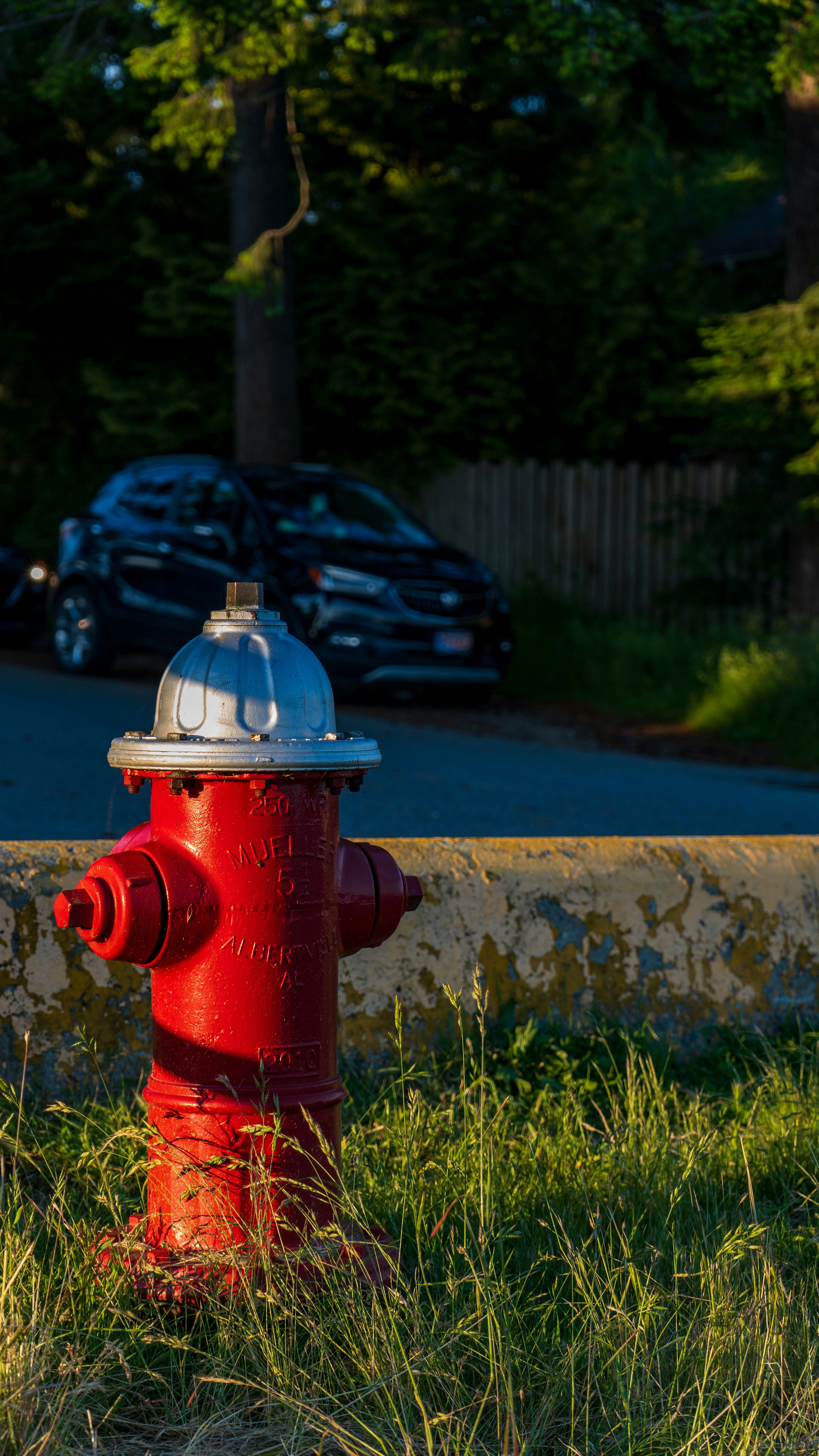 Crimson Fire Hydrant Anchoring a Sunlit Suburban Moment