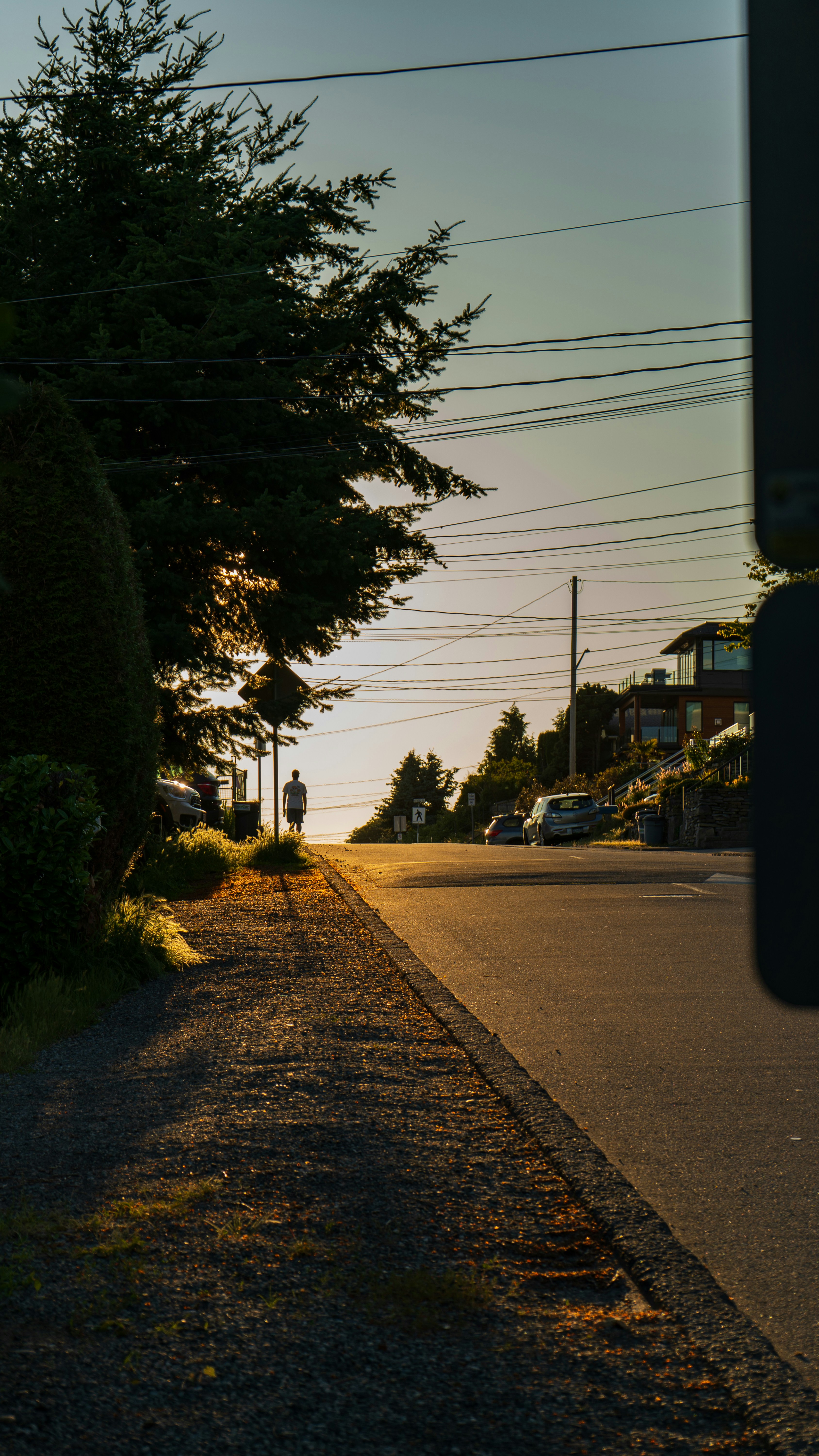 Photo by Abhinna Patel with Sony Alpha 7 III