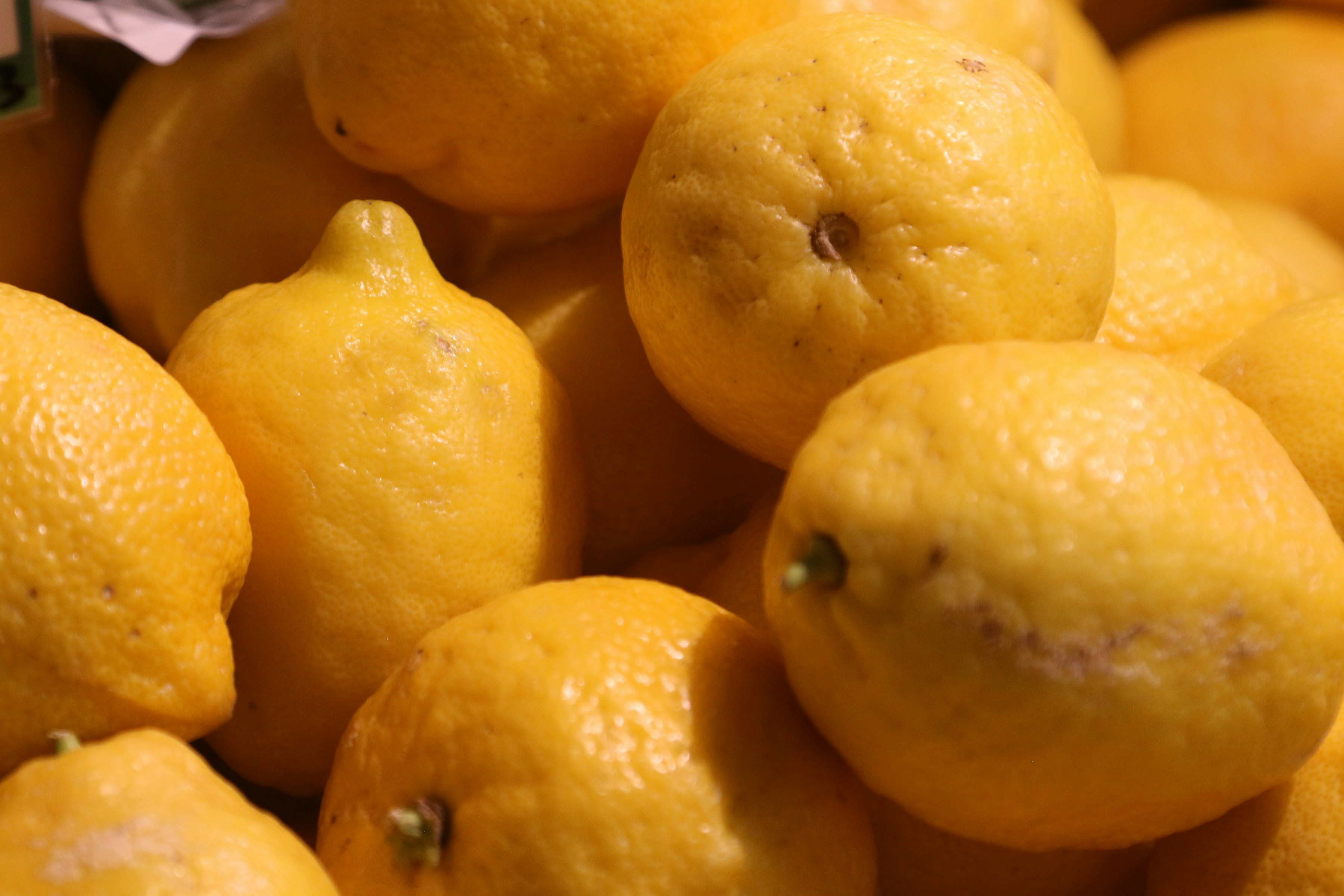 Sun-Kissed Citrus Cluster: A Quiet Close-Up of Lemons