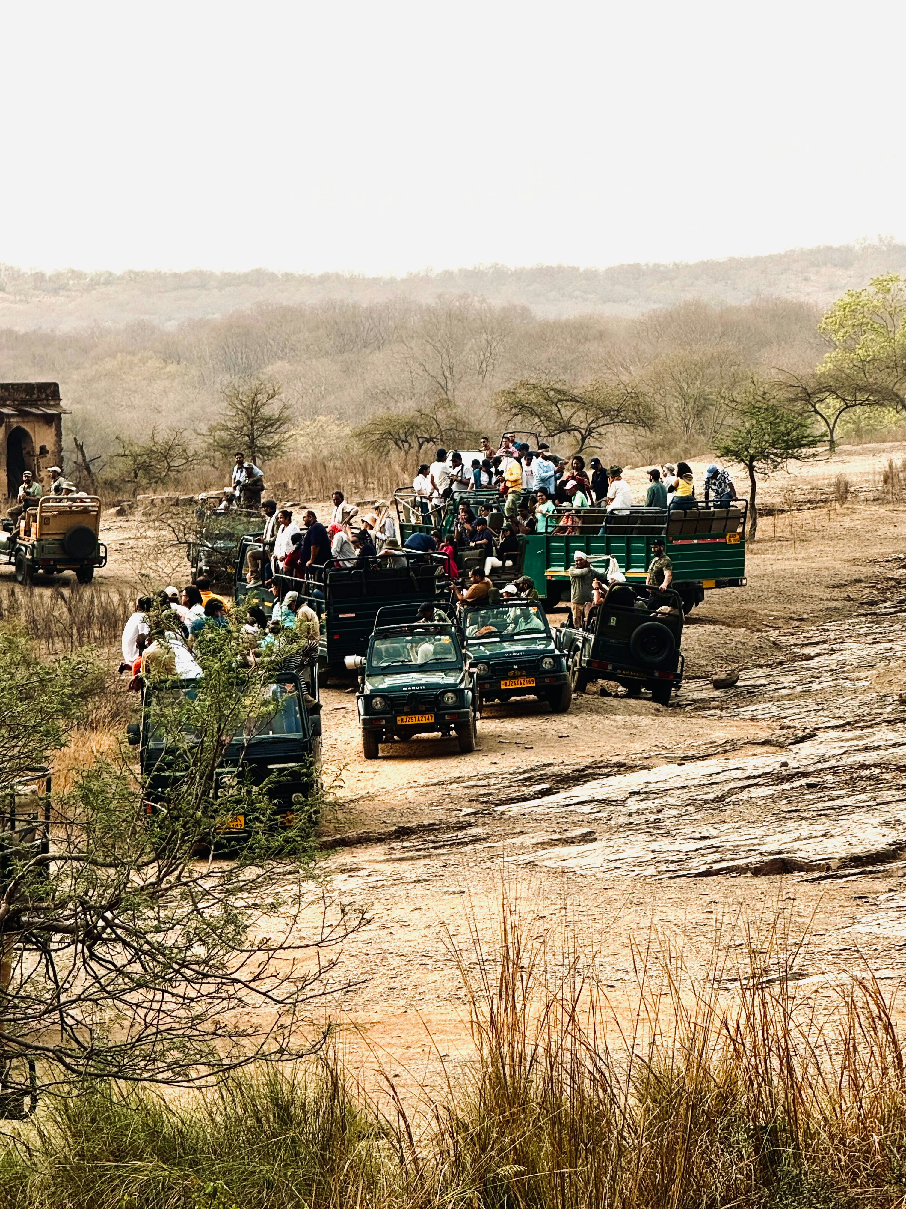 A group of people riding on the back of four wheelers photo – Free ...