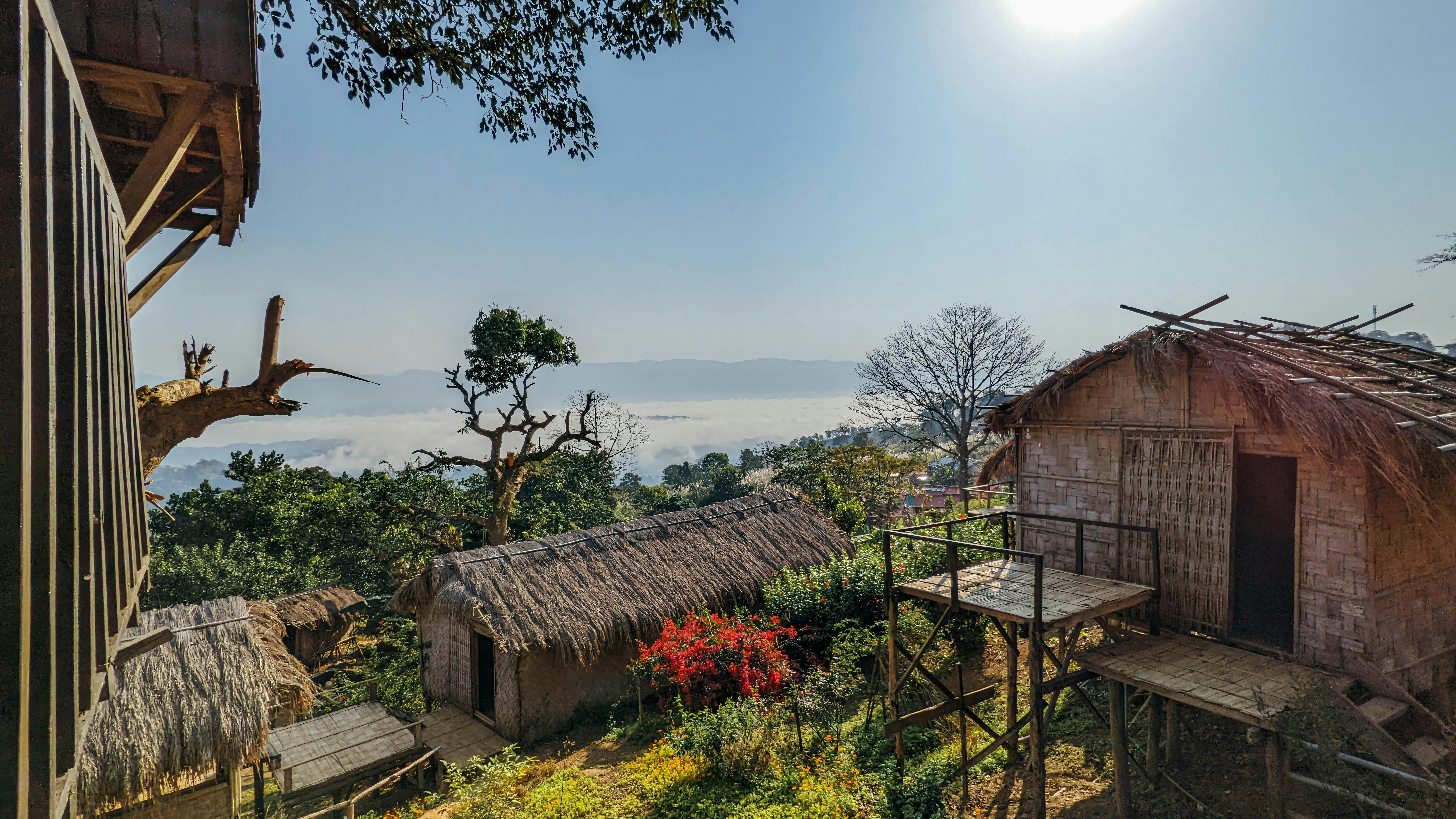 A house with a thatched roof and a tree in the foreground photo – Free Khagrachari Image on Unsplash