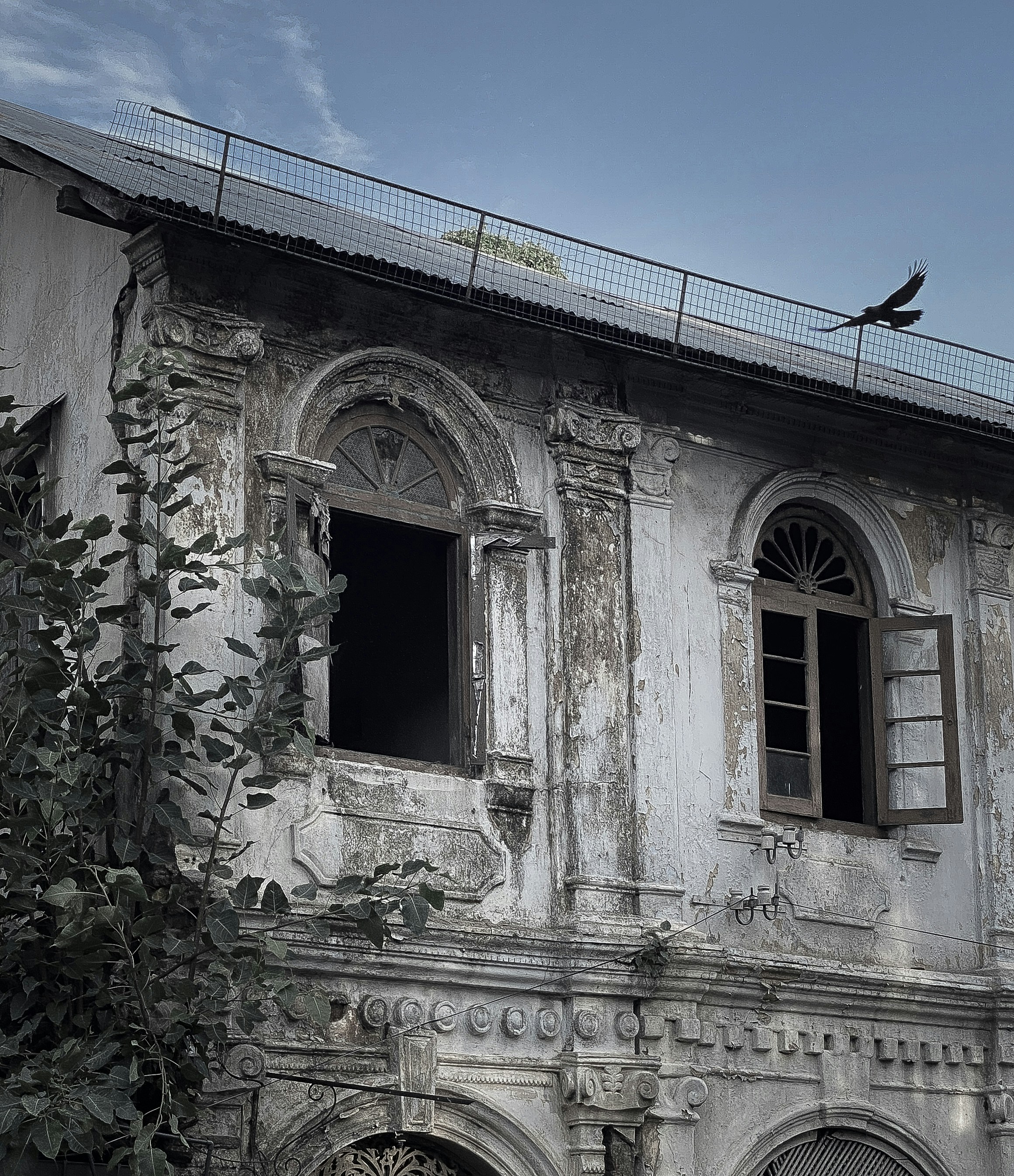 Crow on the Rooftop Railing Over a Weathered Villa Under a Quiet Blue Sky