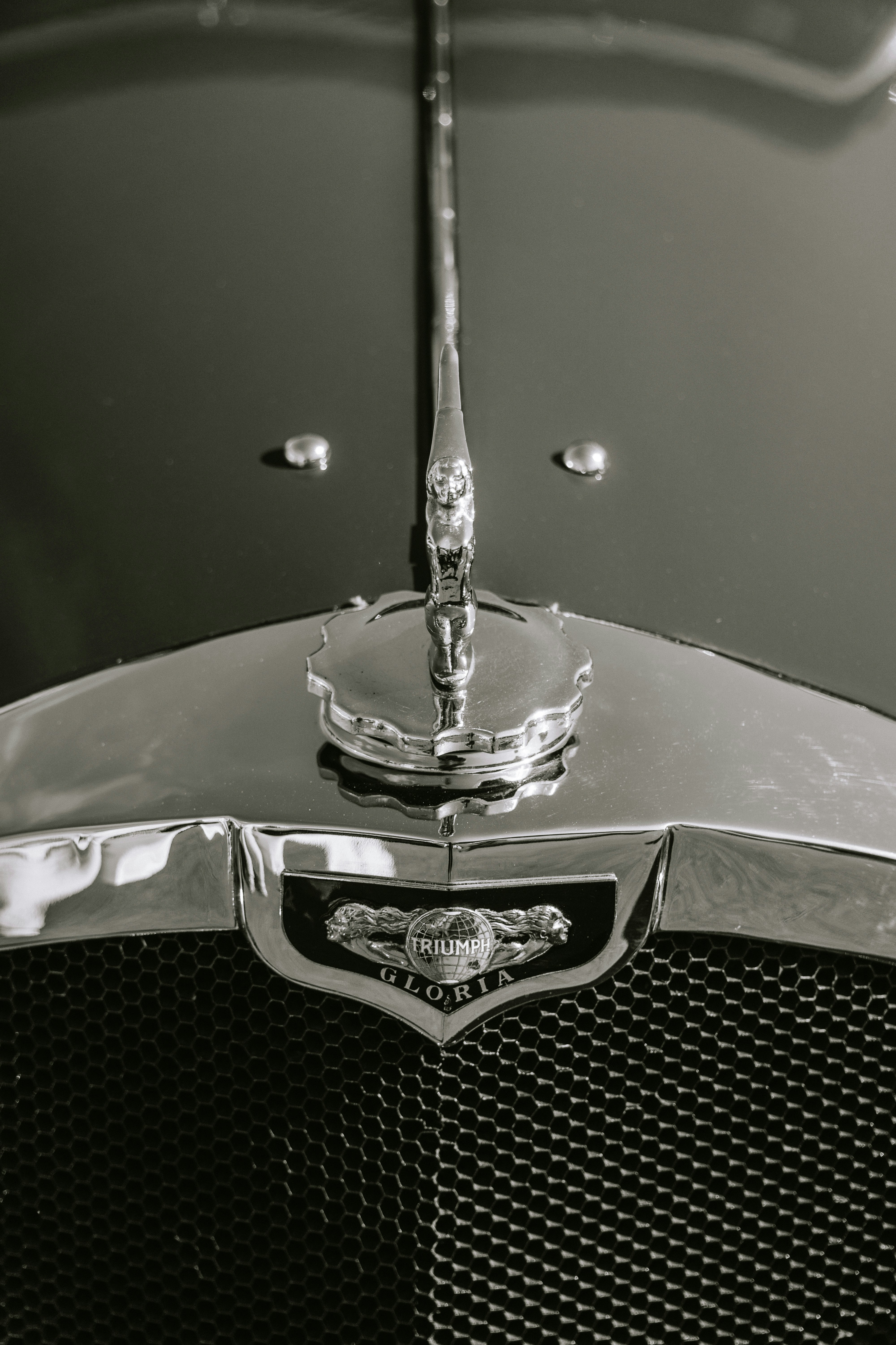 Chrome Crown: The Triumph Emblem Above the Grill