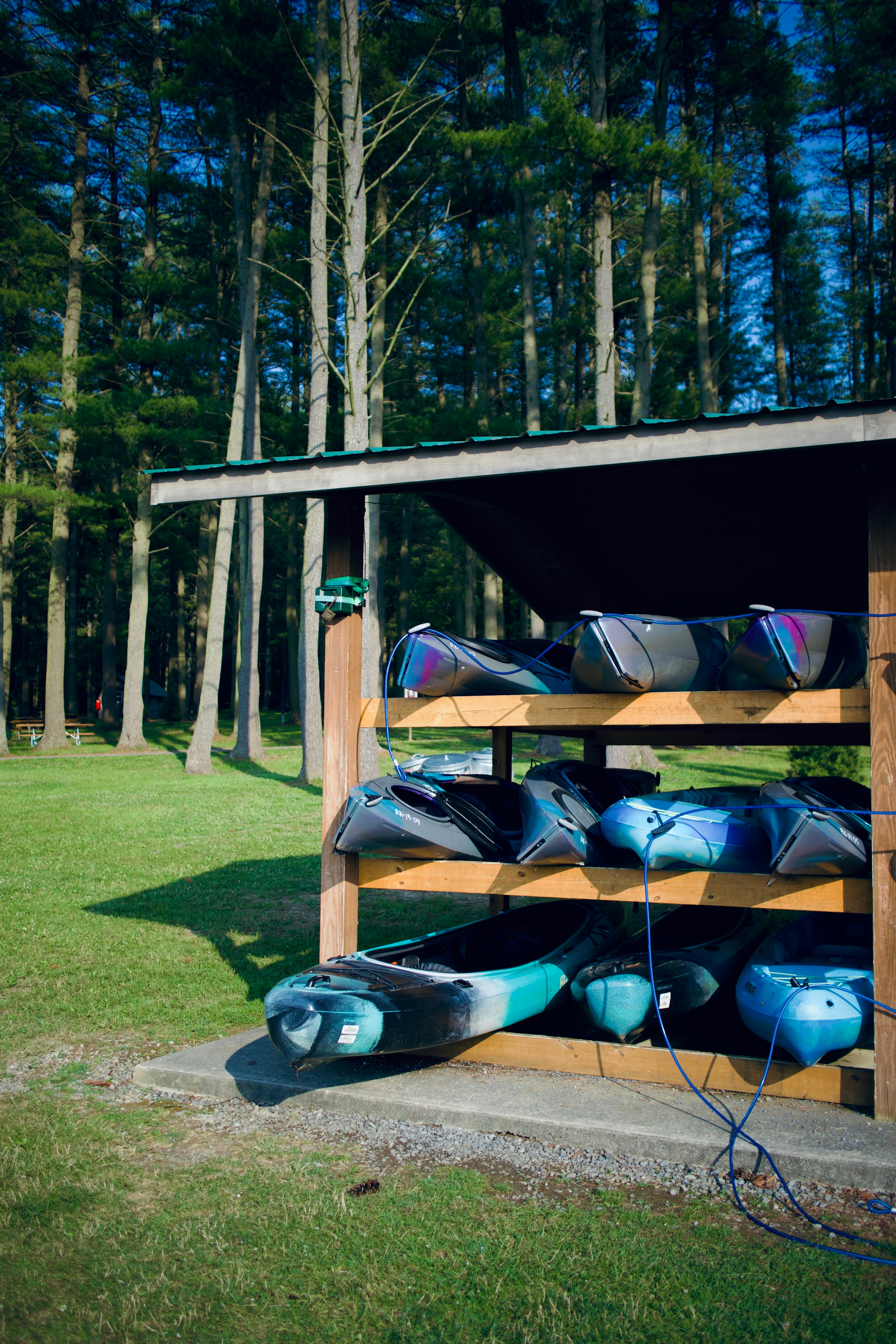 Teal Kayak Beckons from a Wooden Rack Beneath a Pine Forest