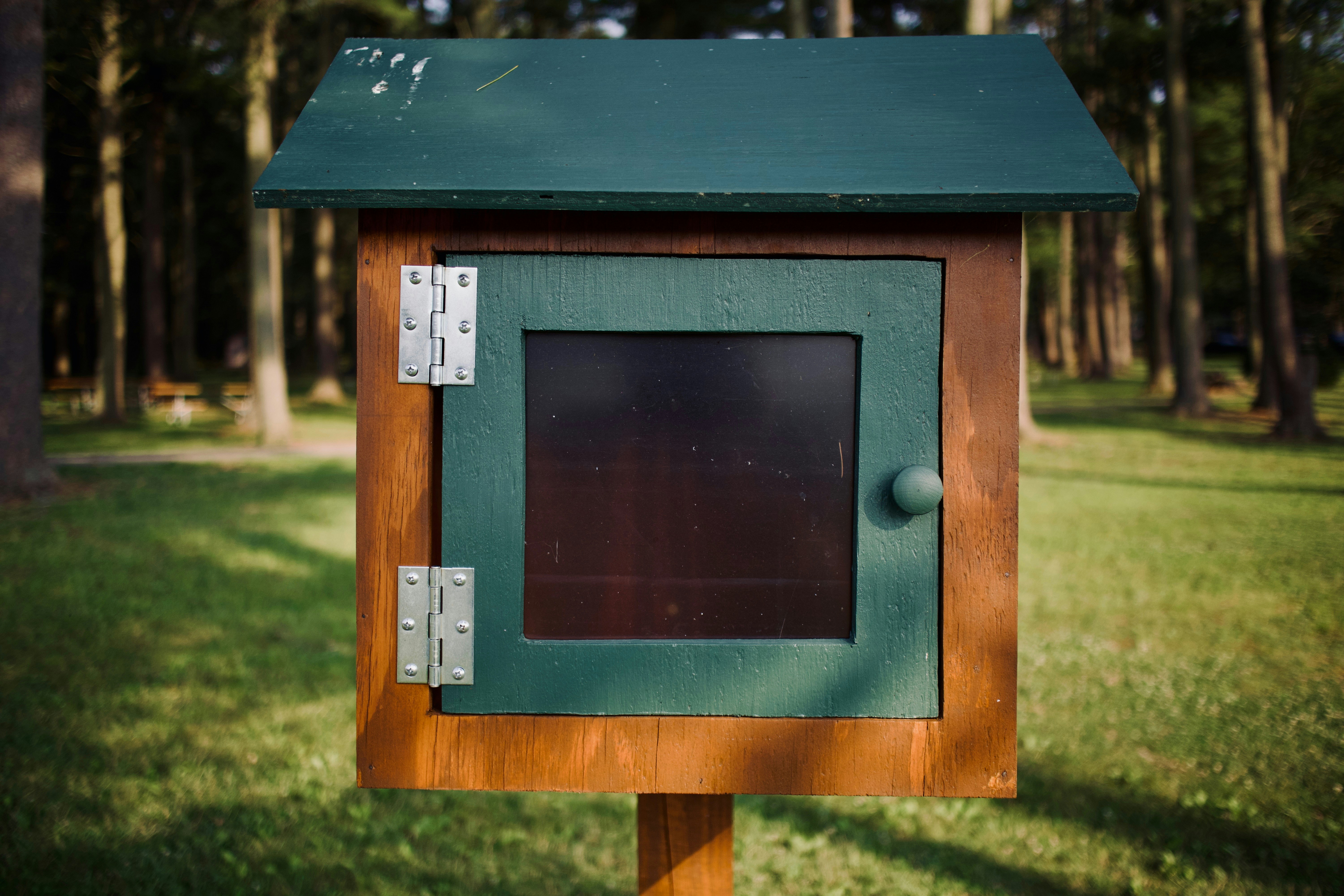 Sunlit Sentinel: A Small Green-Fronted Park Box on a Wooden Post