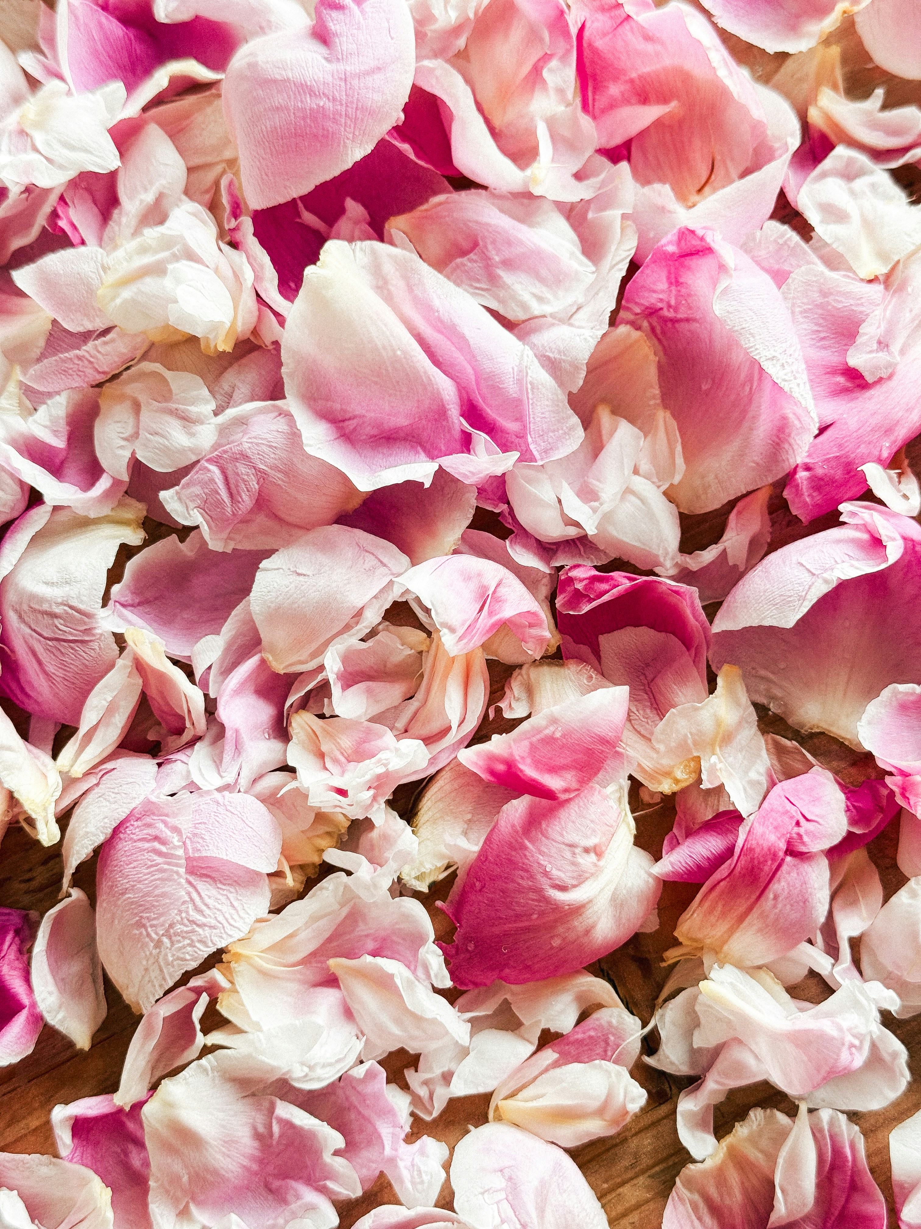 Petal Mosaic: Quiet Pink Confetti Across a Wooden Stage