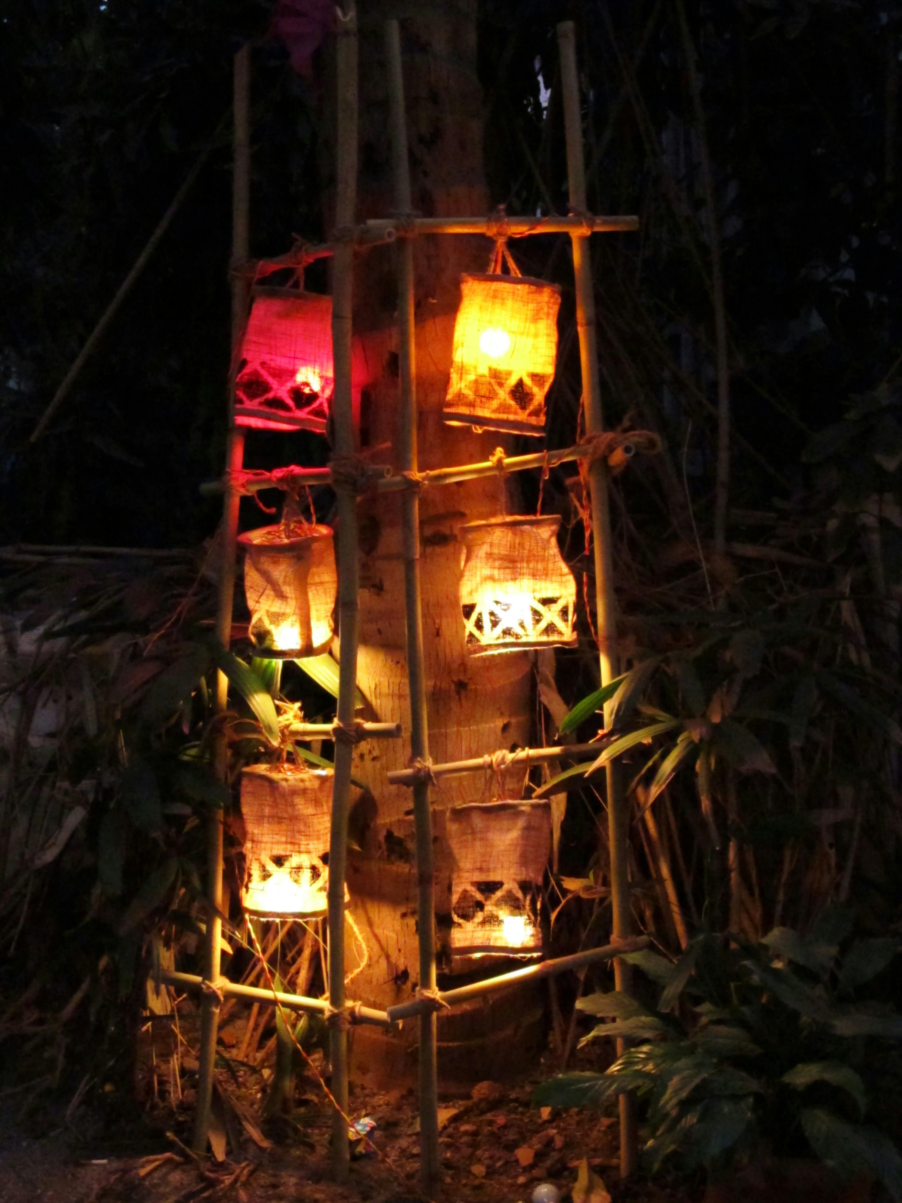 Photo by Suraj Tomer with Canon PowerShot SX130 IS