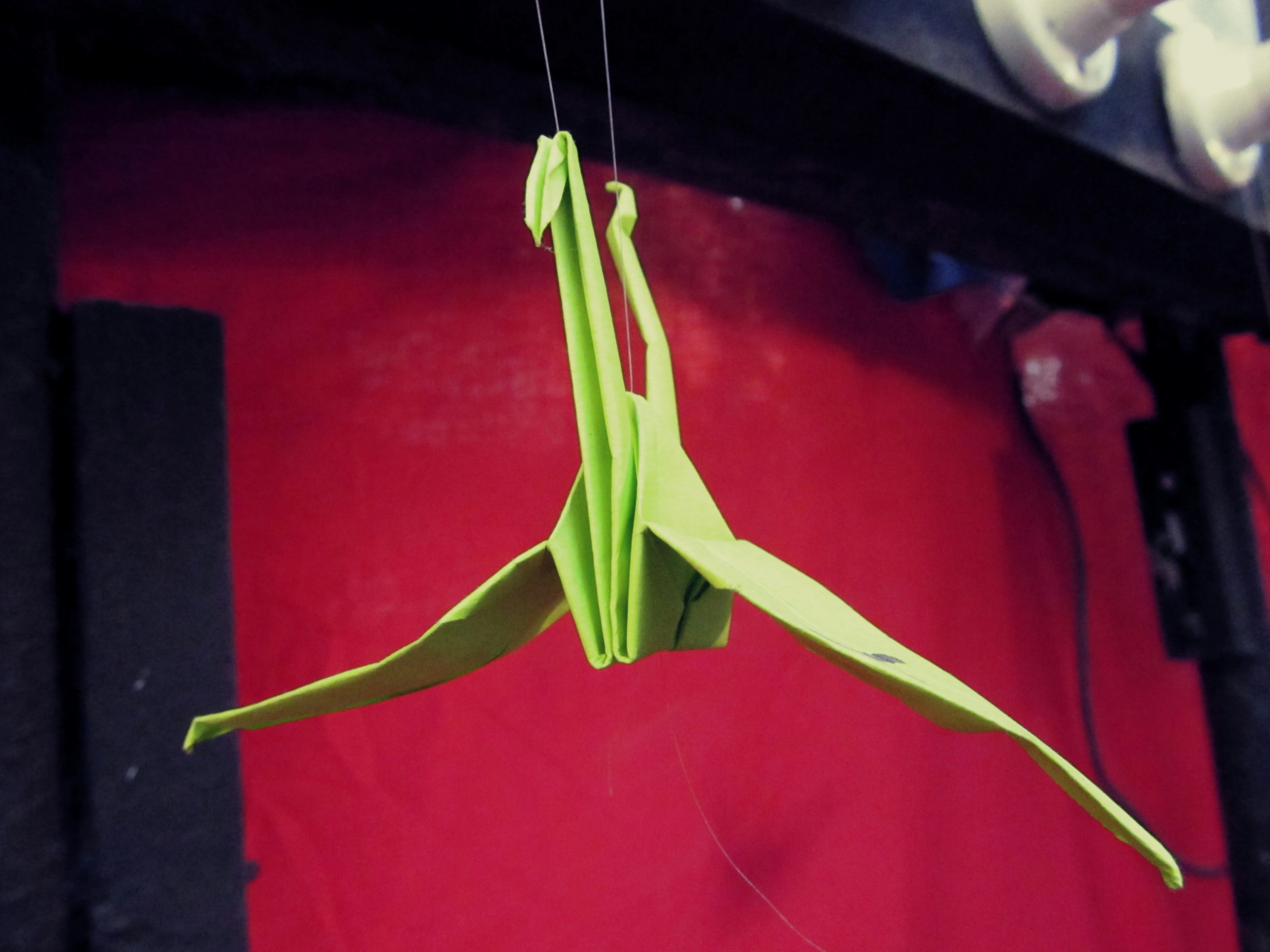 Photo by Suraj Tomer with Canon PowerShot SX130 IS