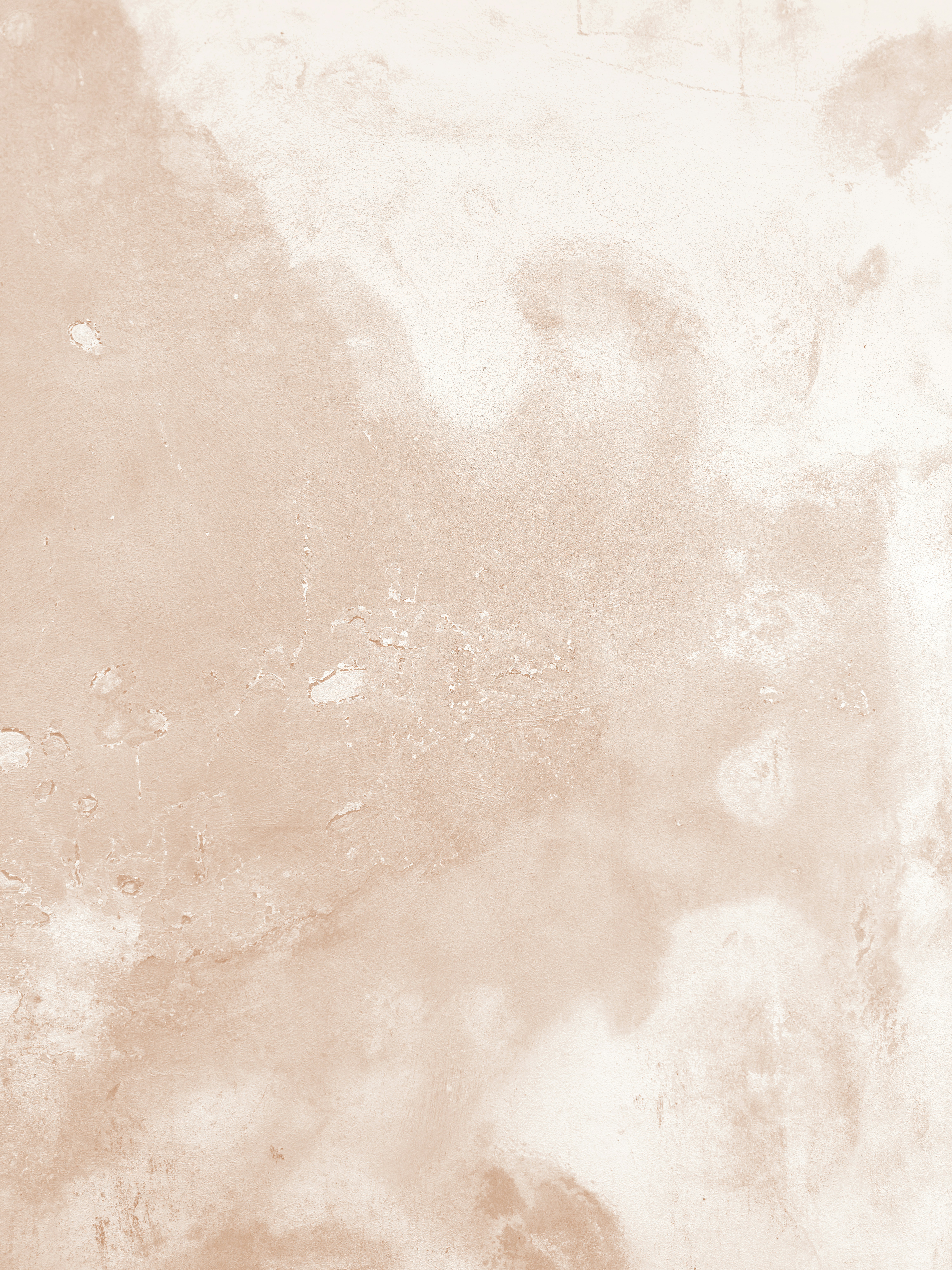 1000+ Fotos de fundo neutro | Baixe imagens gratis no Unsplash