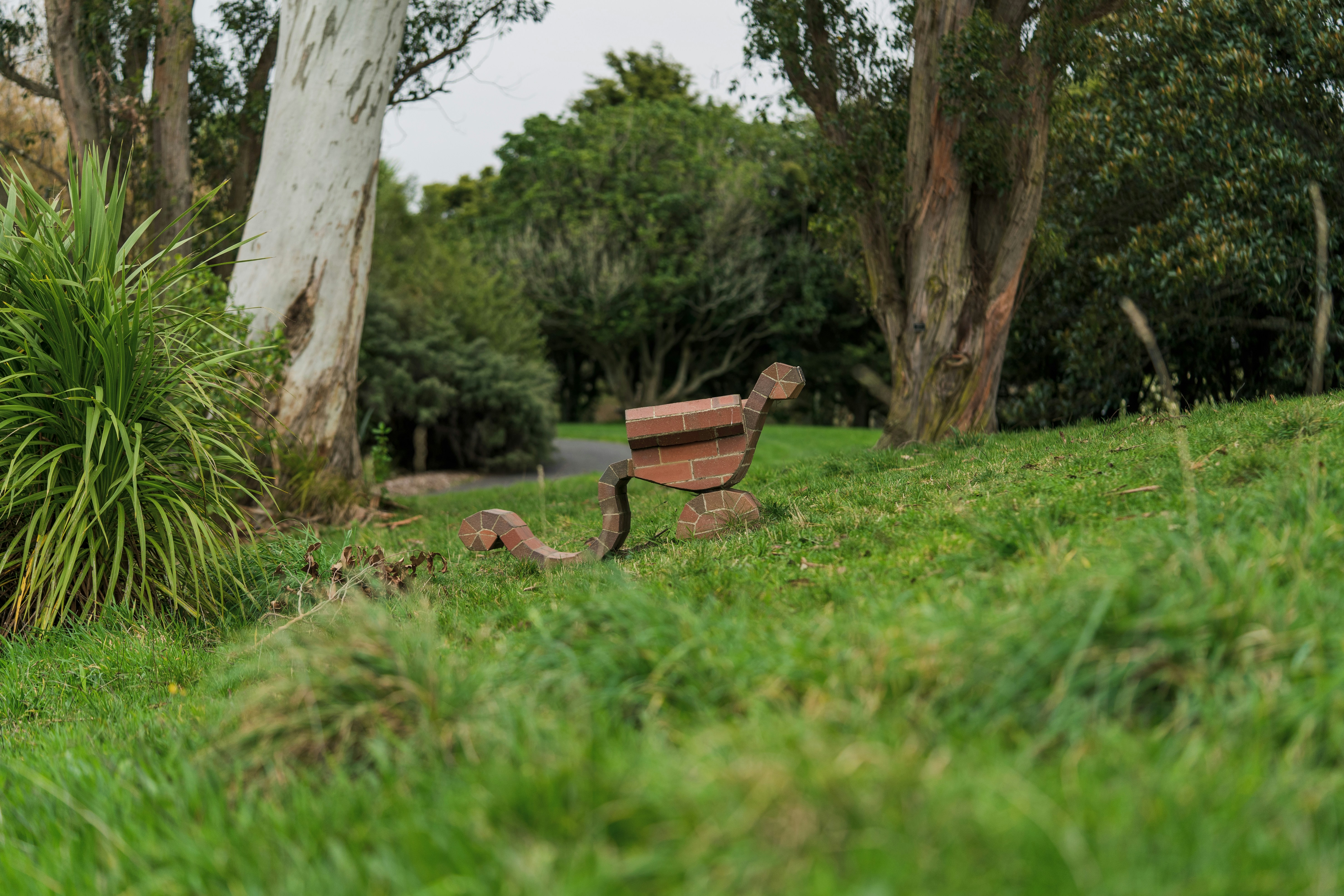 Sculpted Wooden Bench Emerges on a Quiet Park Slope