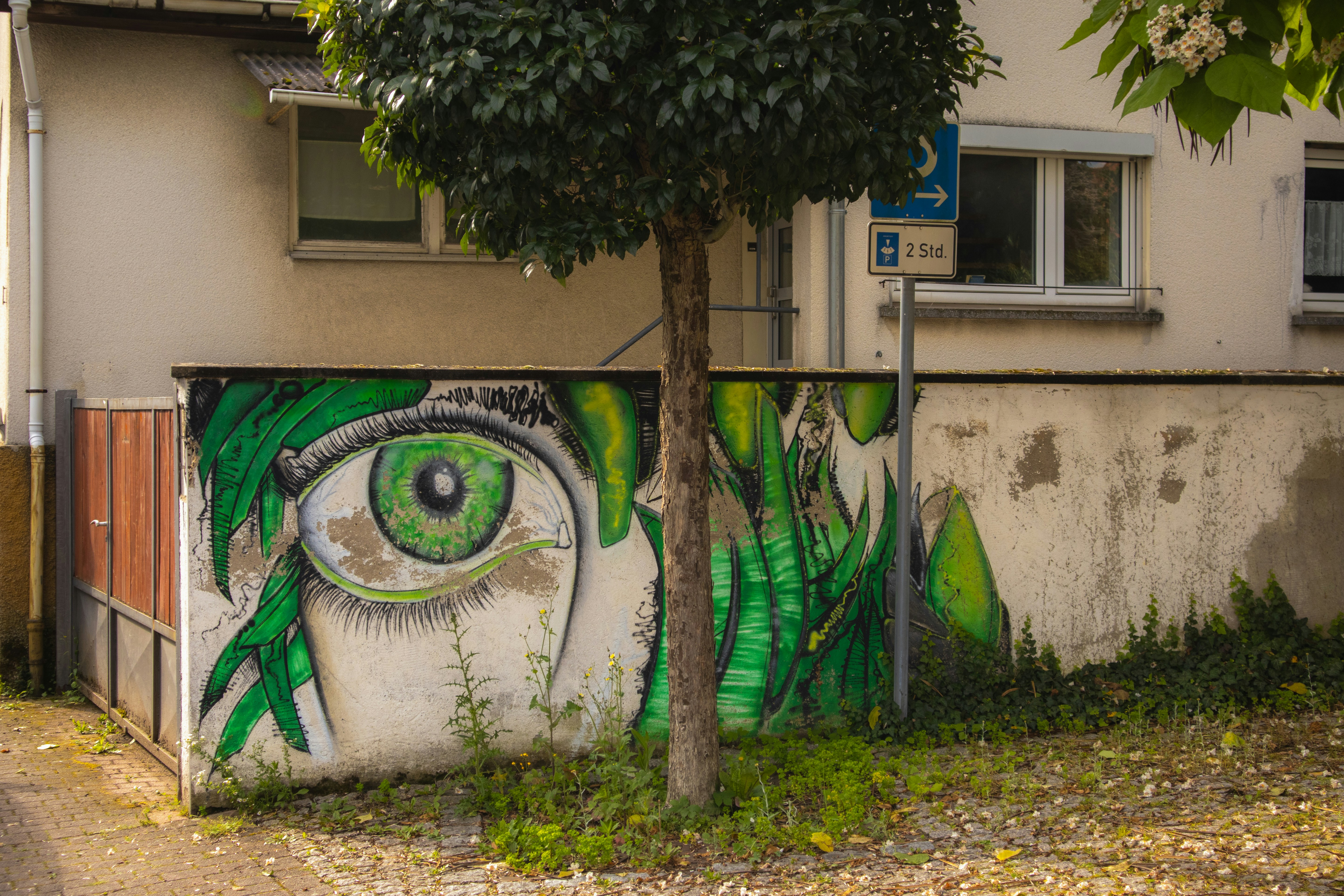 Green Gaze on the Wall: A Street-Leaf Portrait