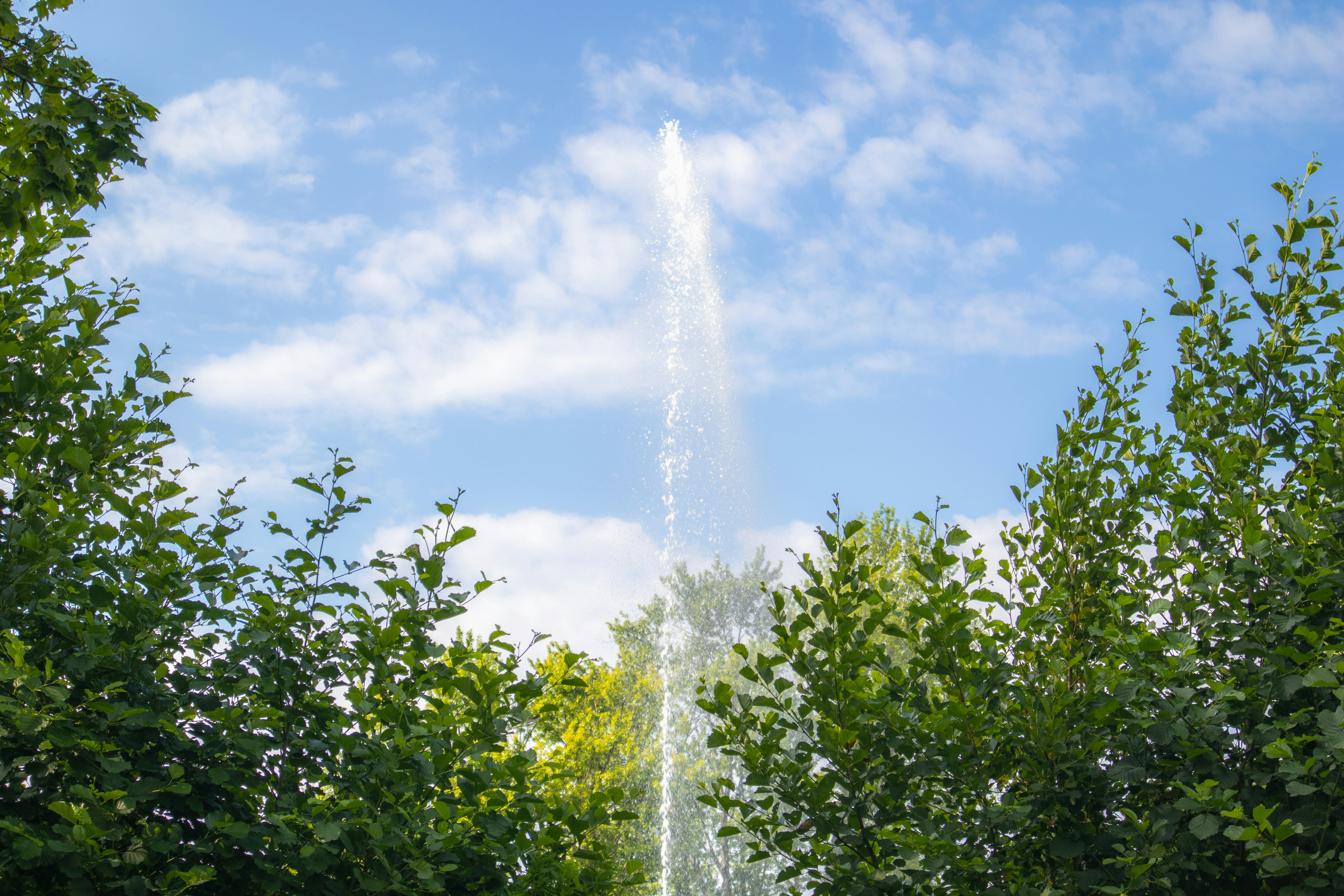 “The Lord will fight for you; you need only to be still." -Exodus 14:14