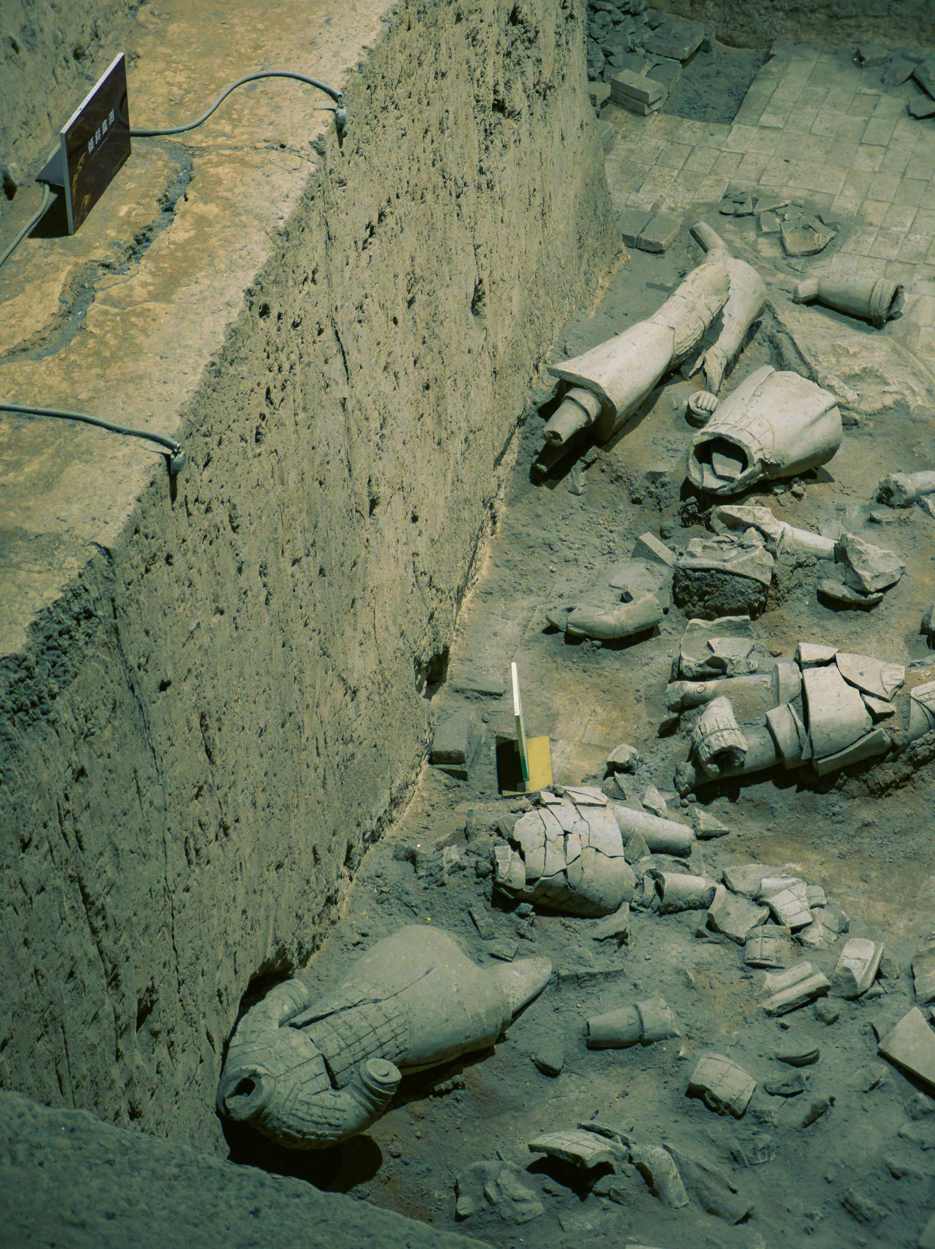 Photo by Sidney Ding with Xiaomi 14 Ultra