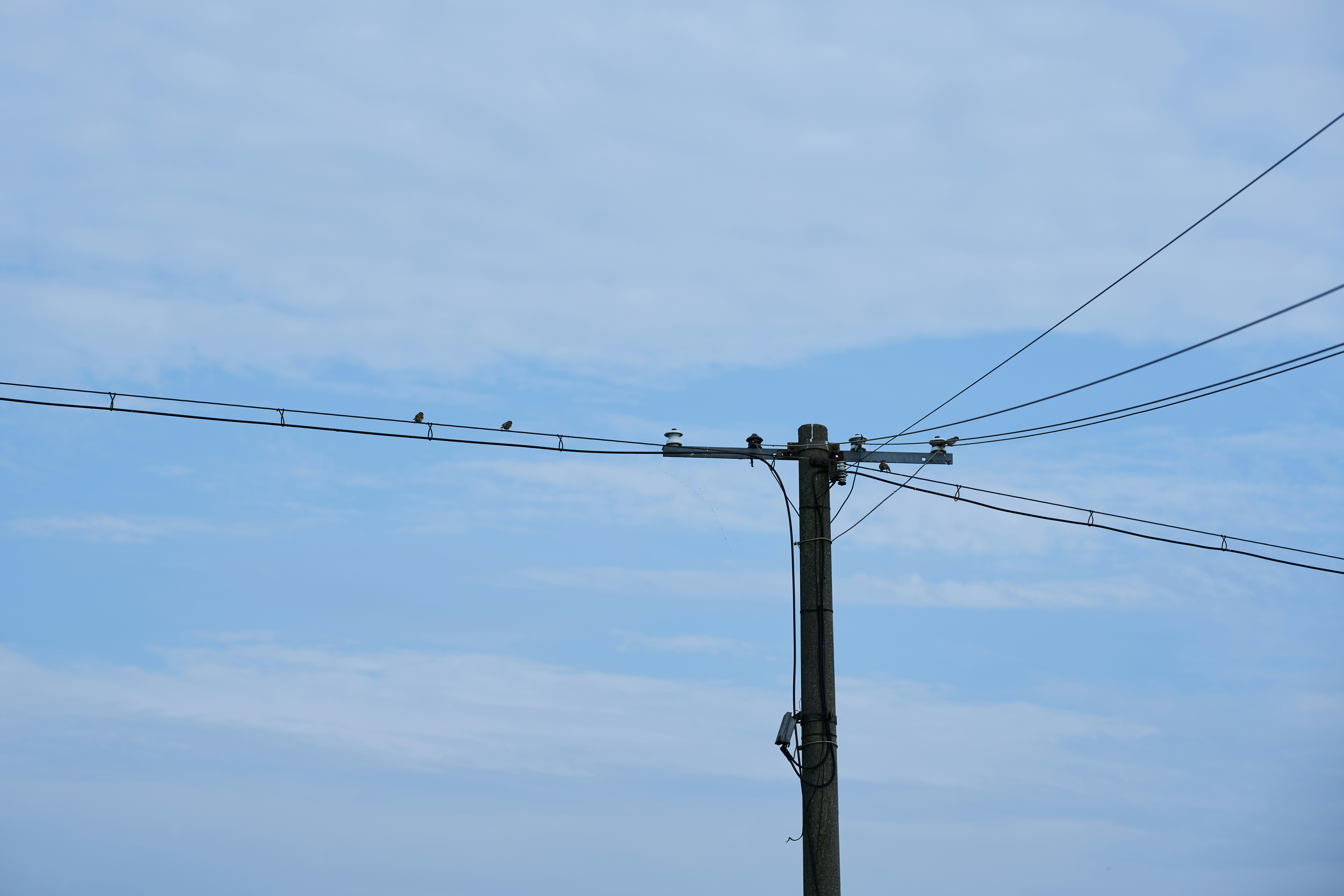 Photo by tian dayong with Sony Alpha 7R III