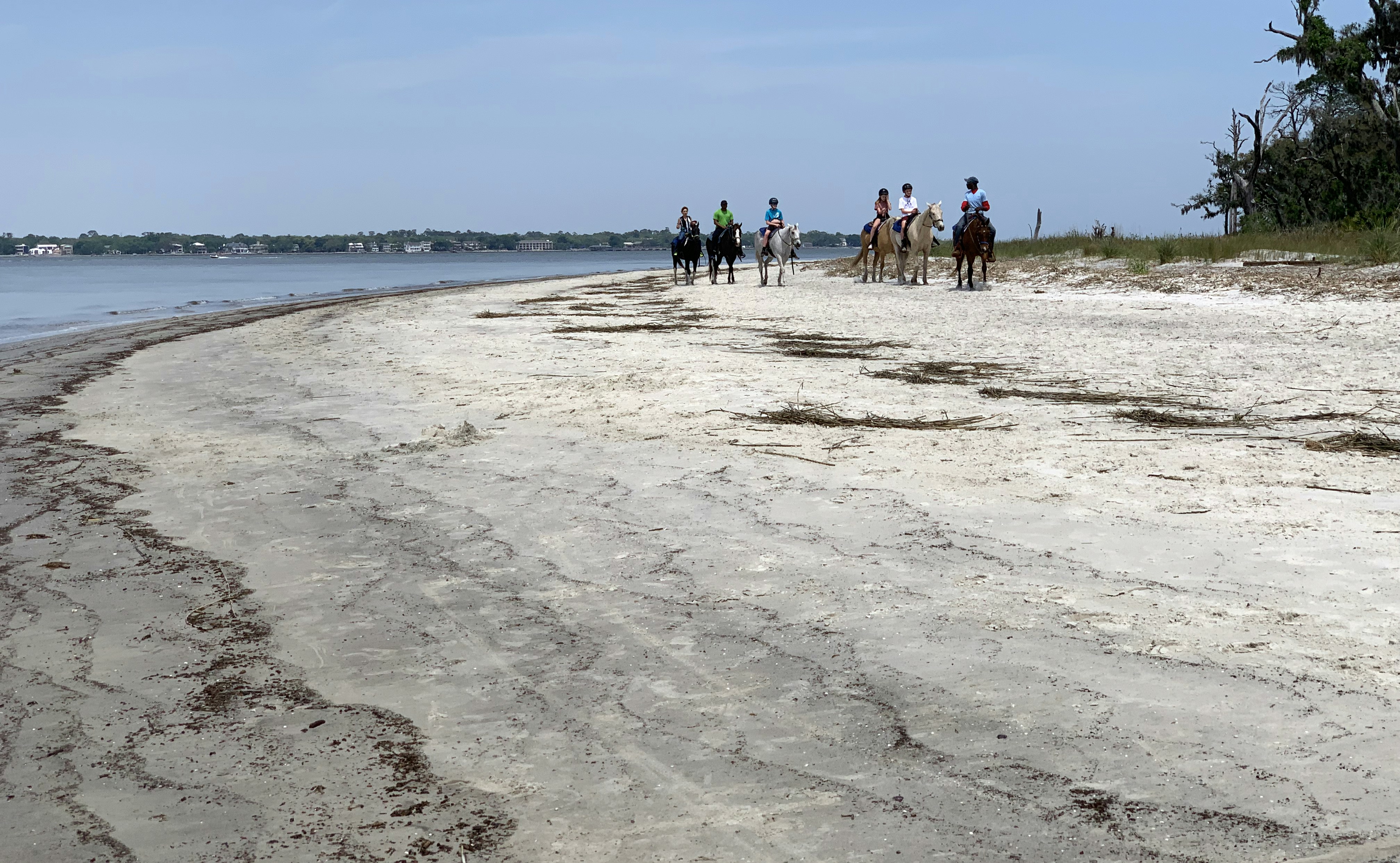 Hoofprints on a Quiet Shore: Riders Tracing the Sea's Edge