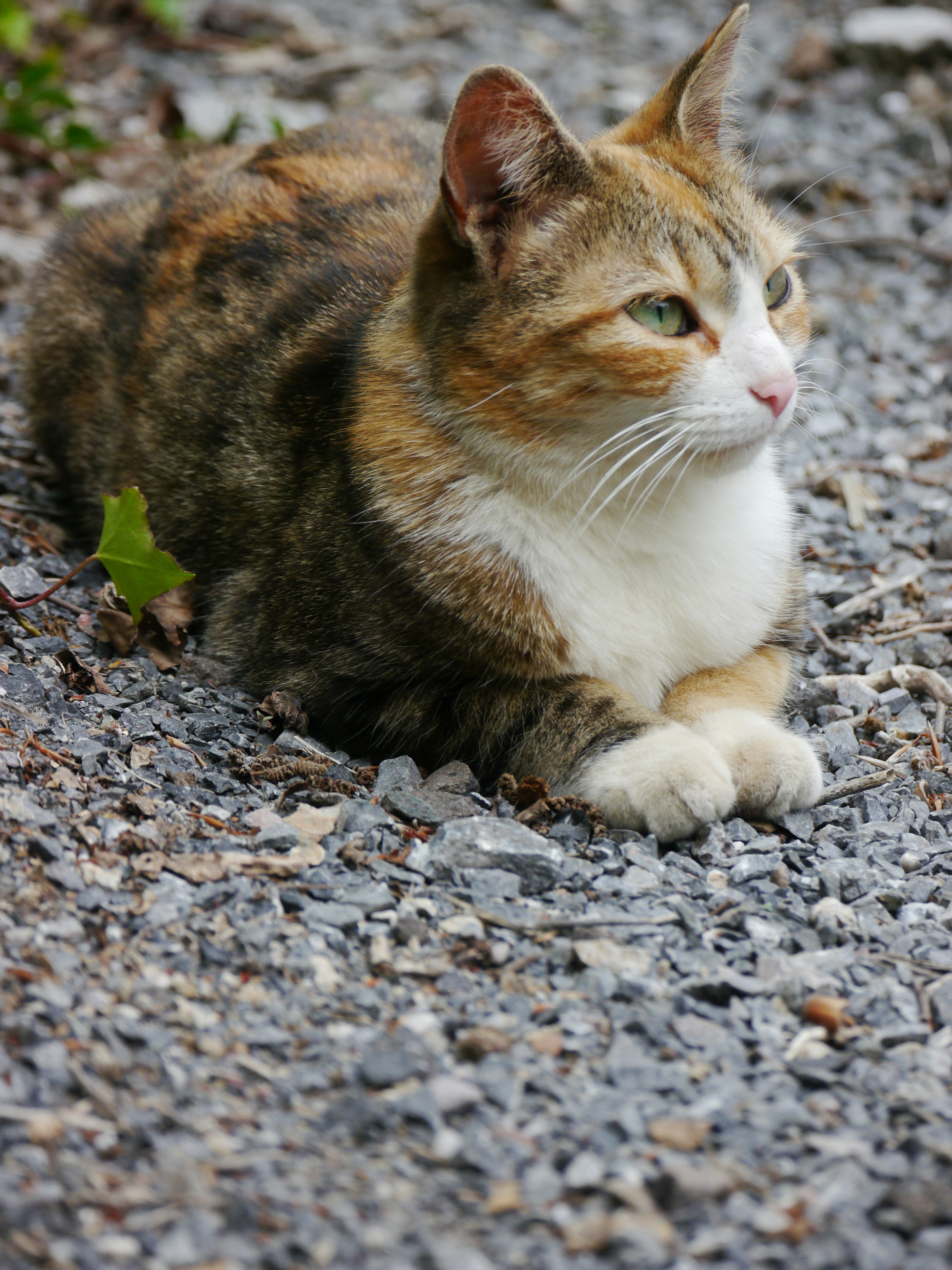 Photo by Jim with Panasonic Lumix G5