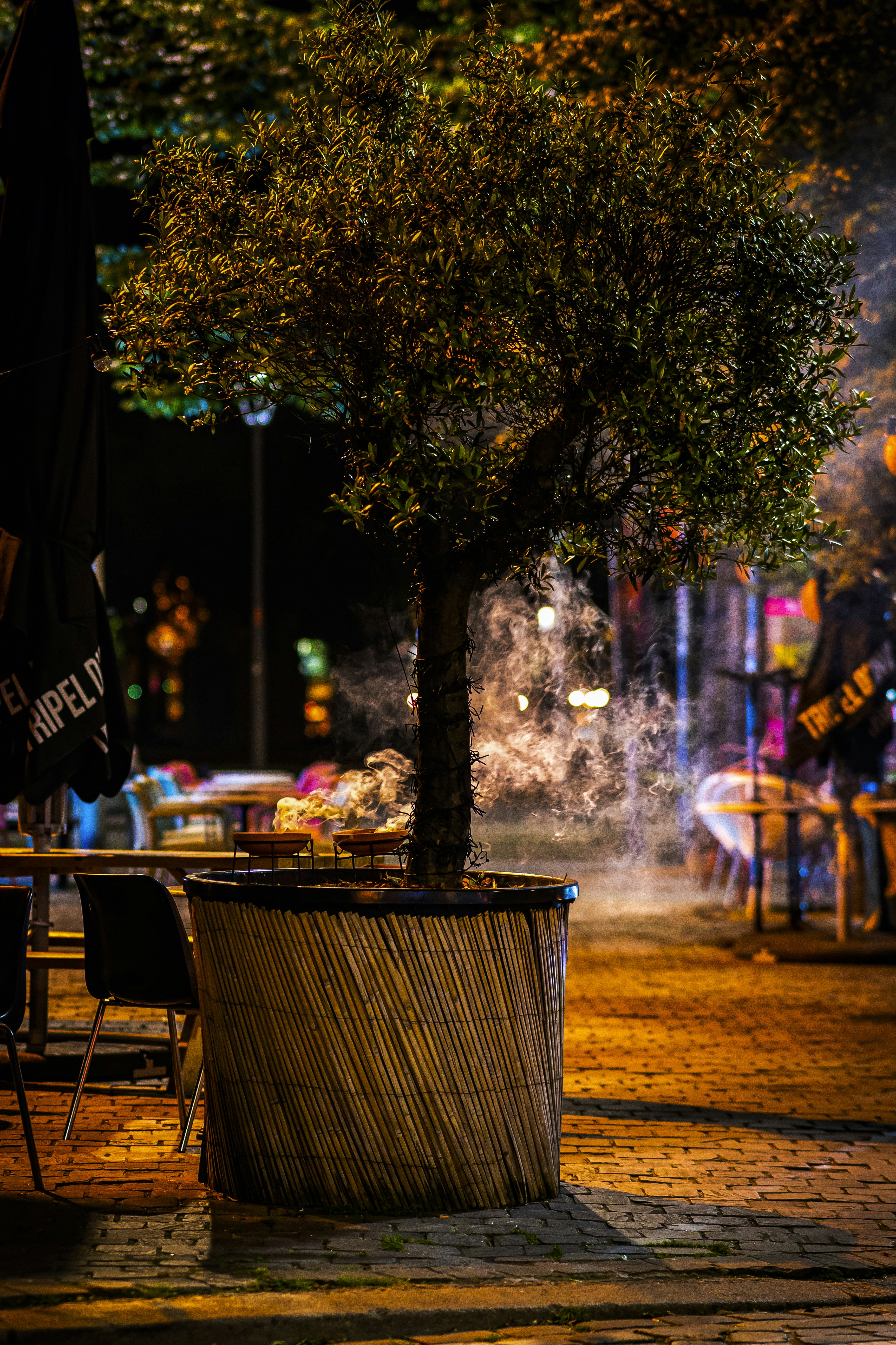 Steam from the Urban Tree: Night Market Aura