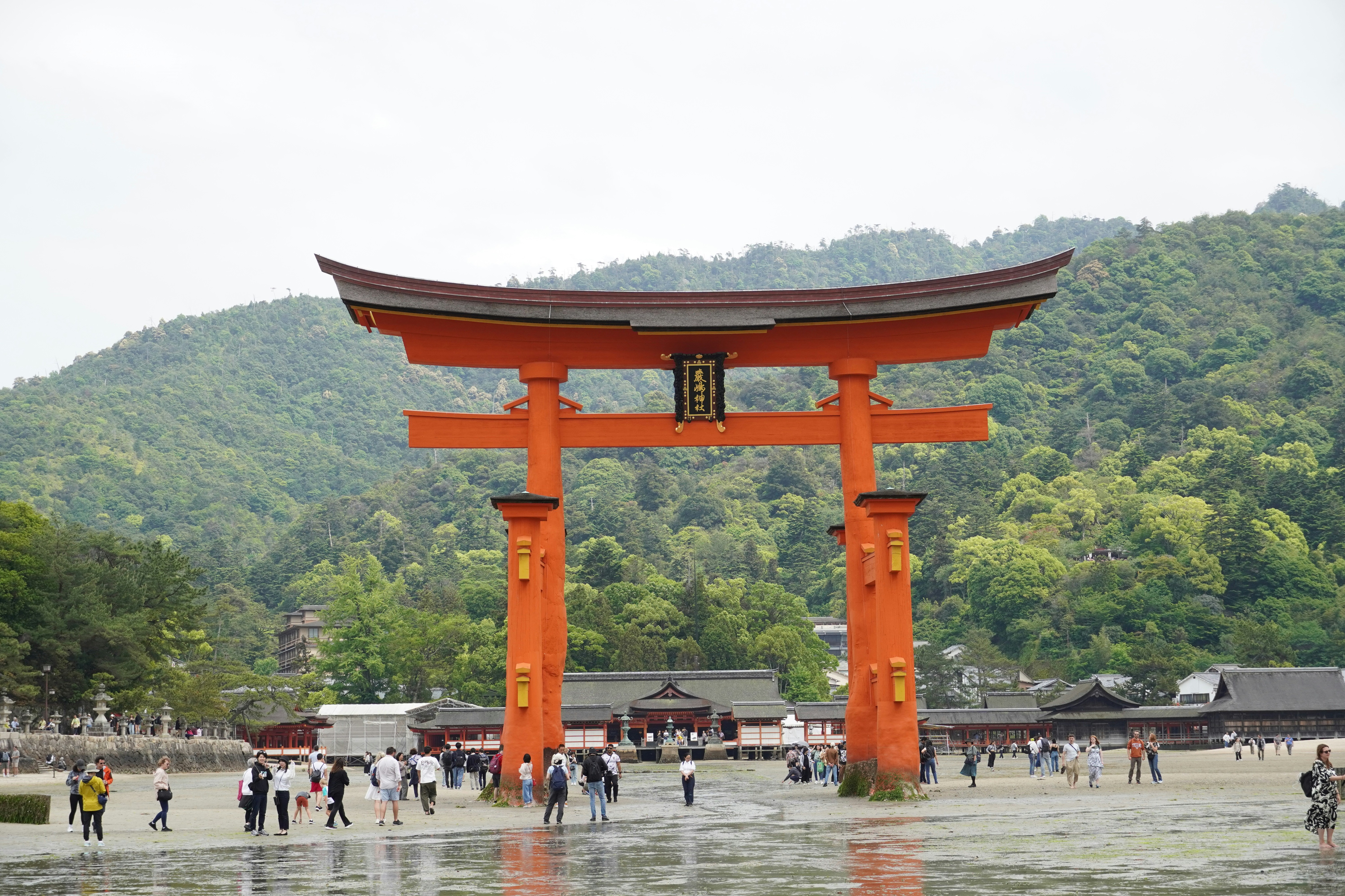 Visitors stroll beneath a grand orange torii gate against a lush green mountain backdrop.