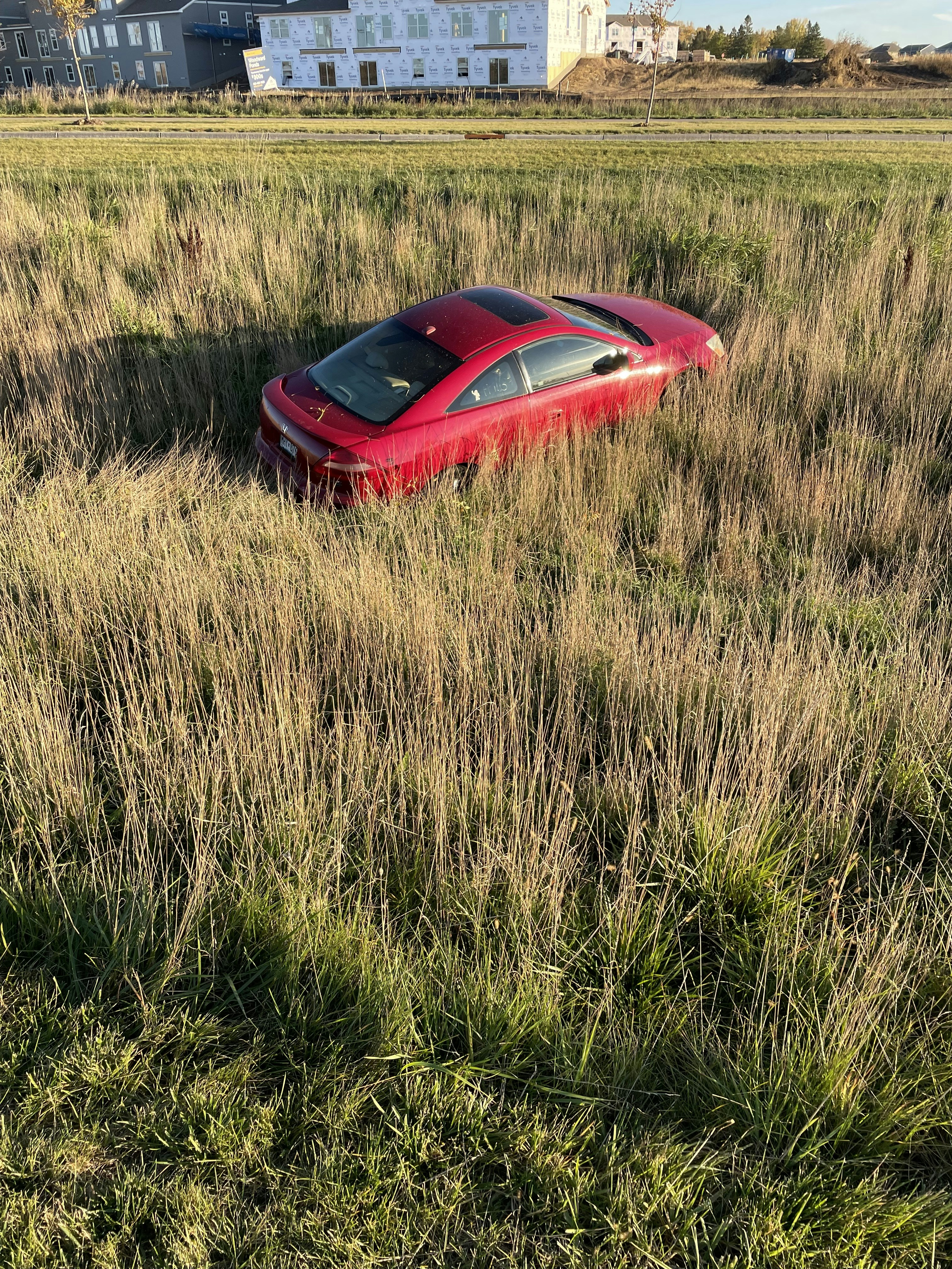 Forgotten Elegance: A Red Coupe Amidst Nature's Embrace