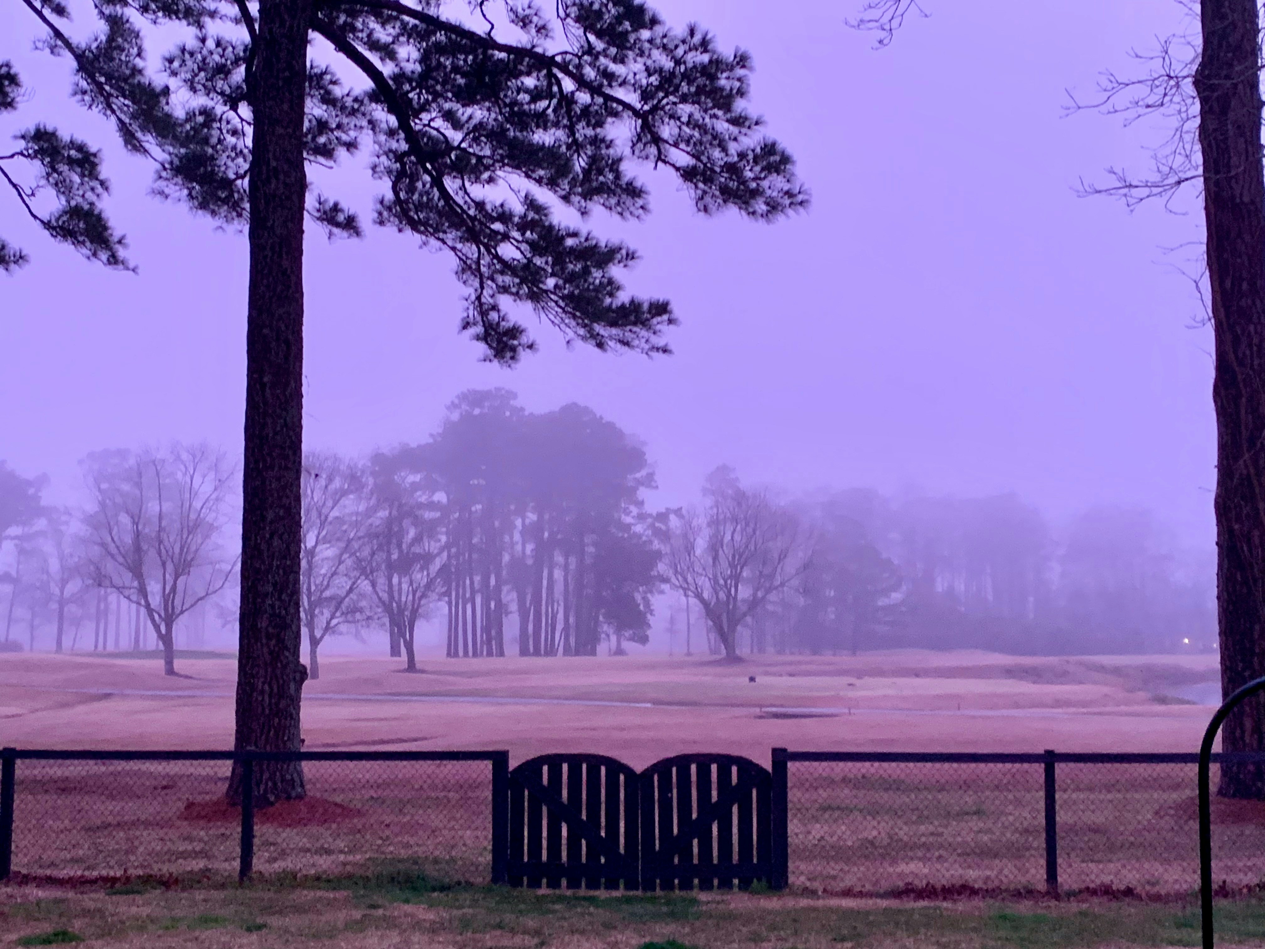 Violet Mist over a Quiet Park: The Foreground Bench Beneath Fog and Fence