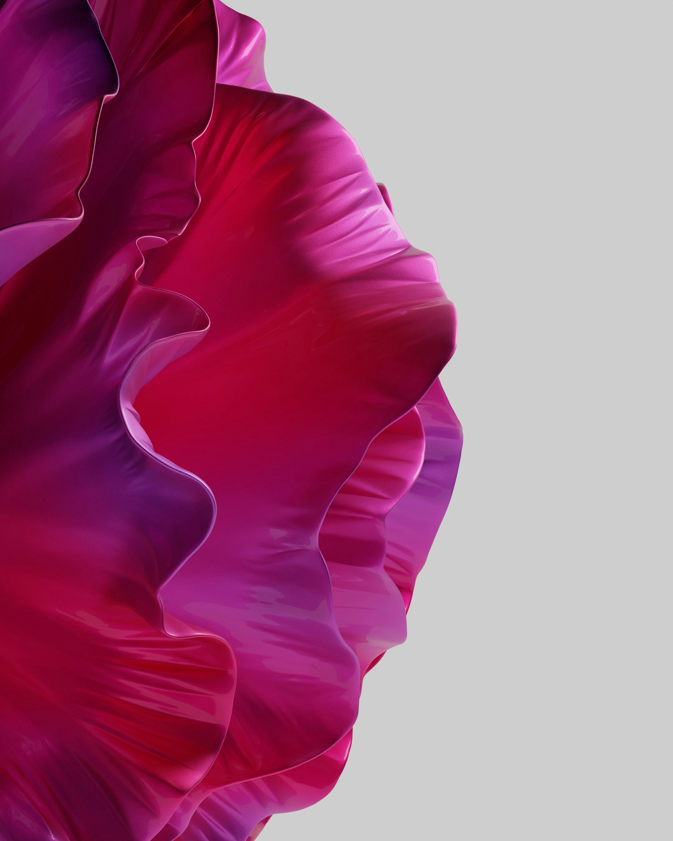 Flower Design Pictures | Download Free Images on Unsplash