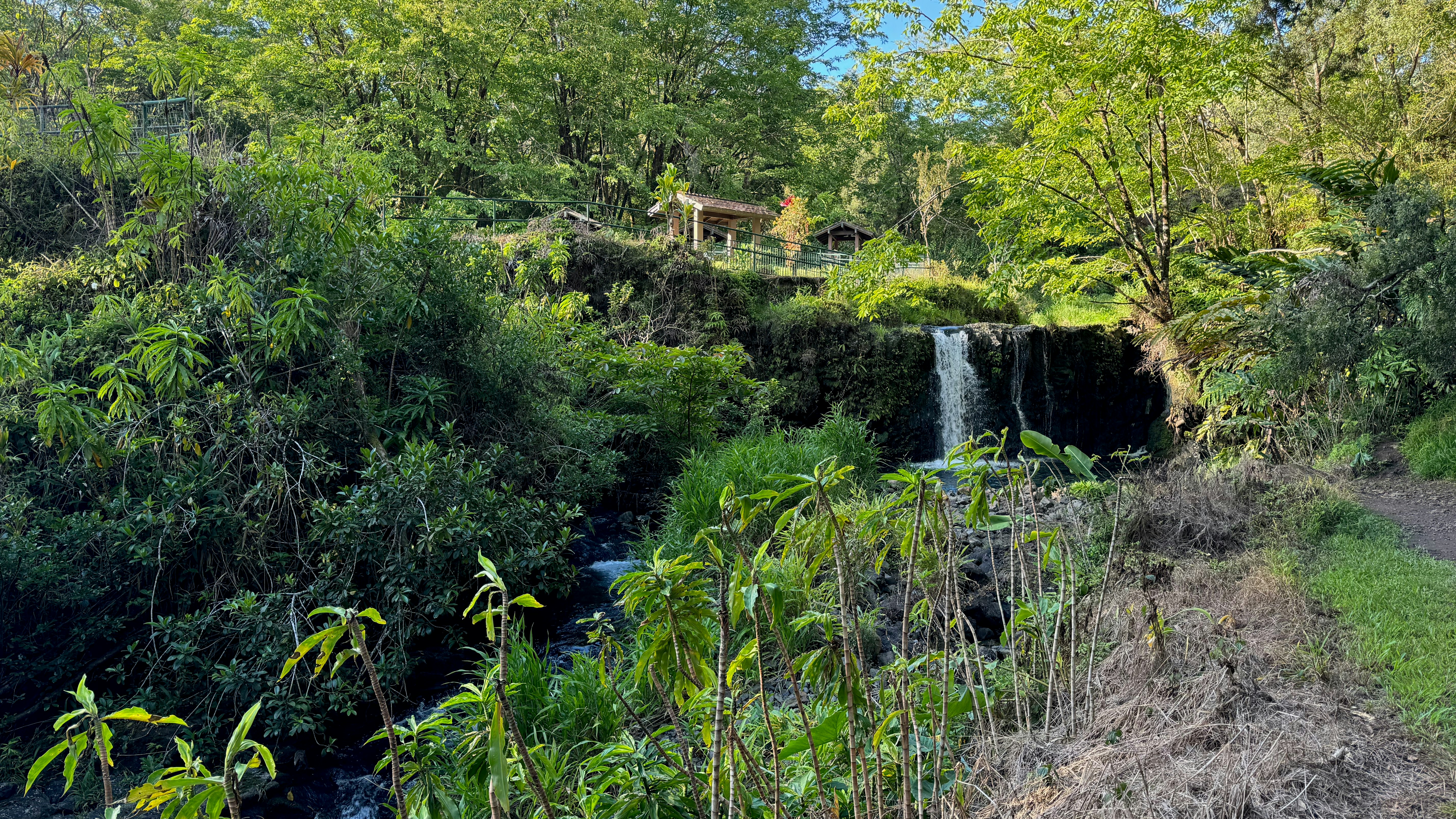 Small waterfall amidst lush greenery and a calm stream under a clear sky.