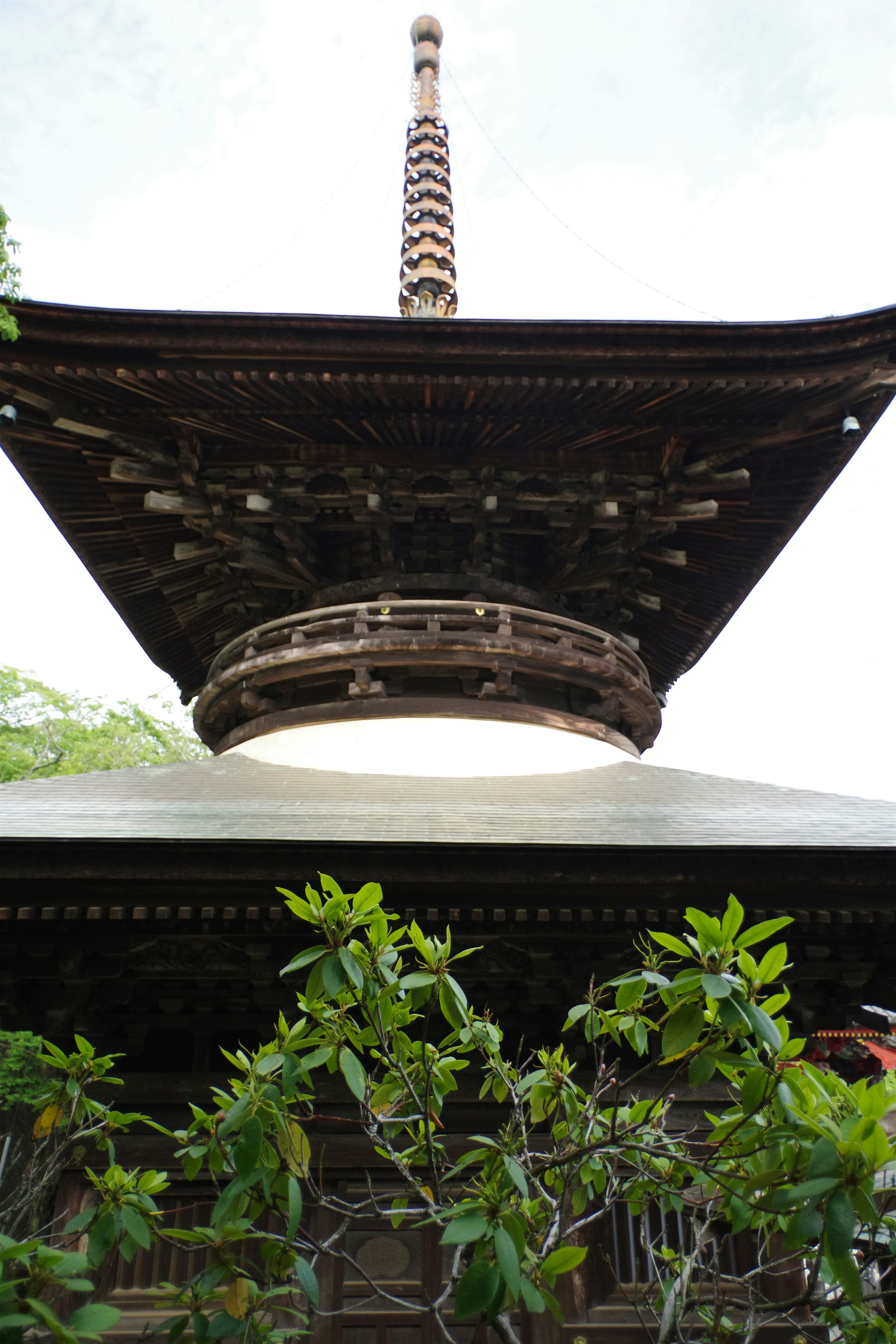 Spireline Over Eaves: Framing a Quiet Pagoda in Spring Green