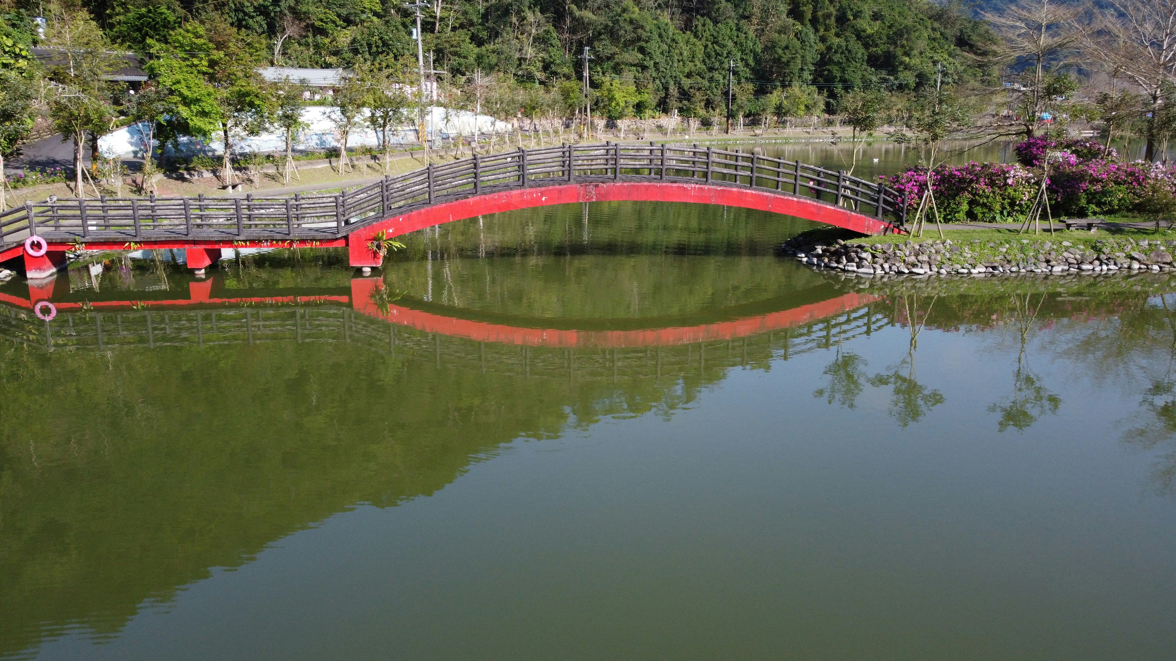 Reflections of Harmony: The Crimson Bridge