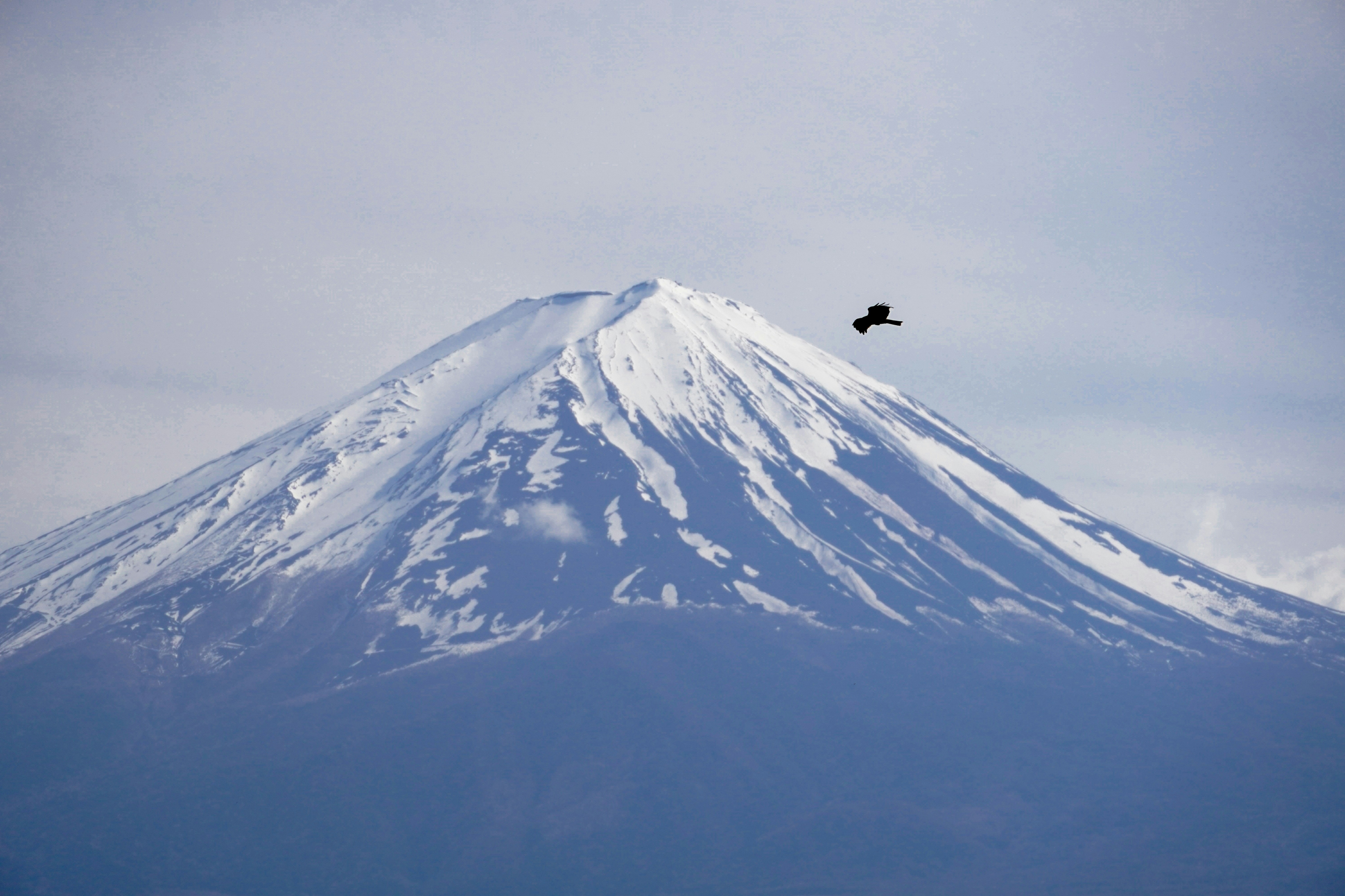 Photo by sabari nathan with Sony Alpha 6600